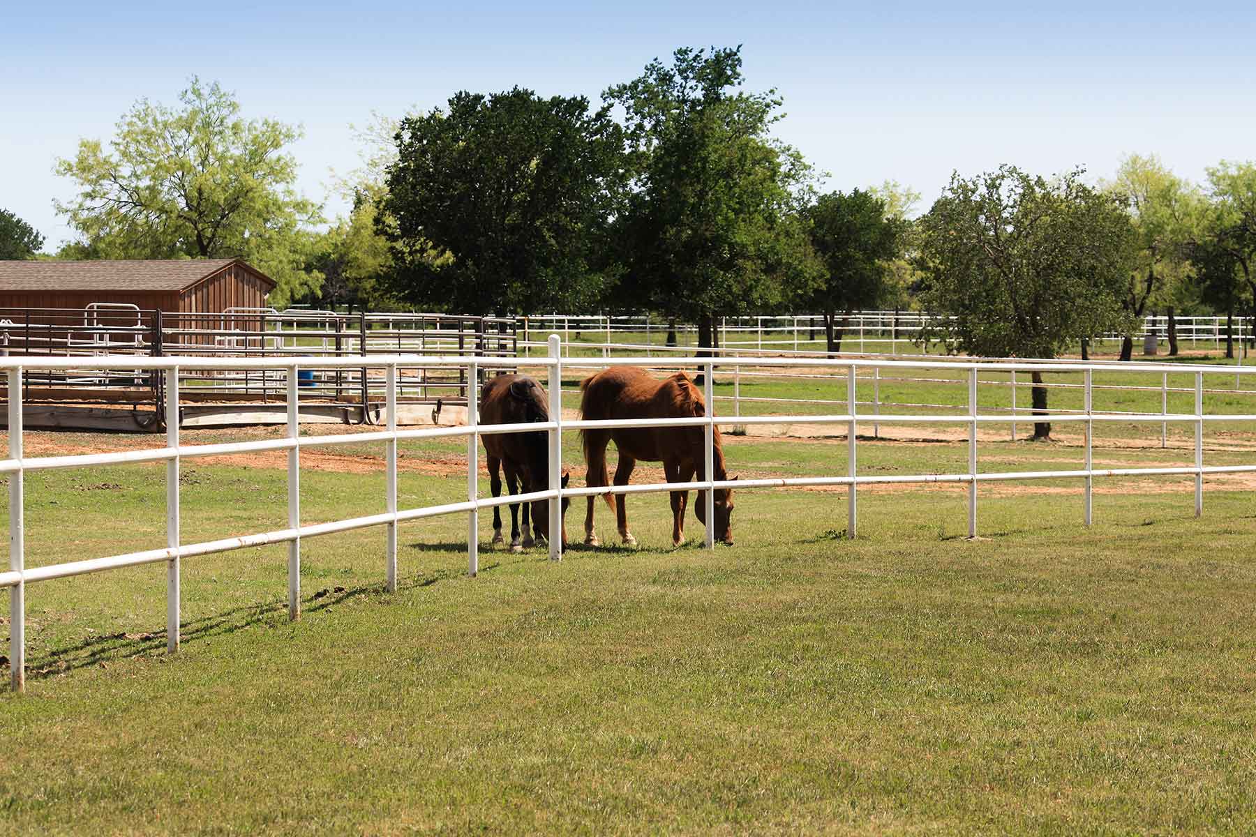 Lucky Star Ranch - Sold - Texas - Hall and Hall