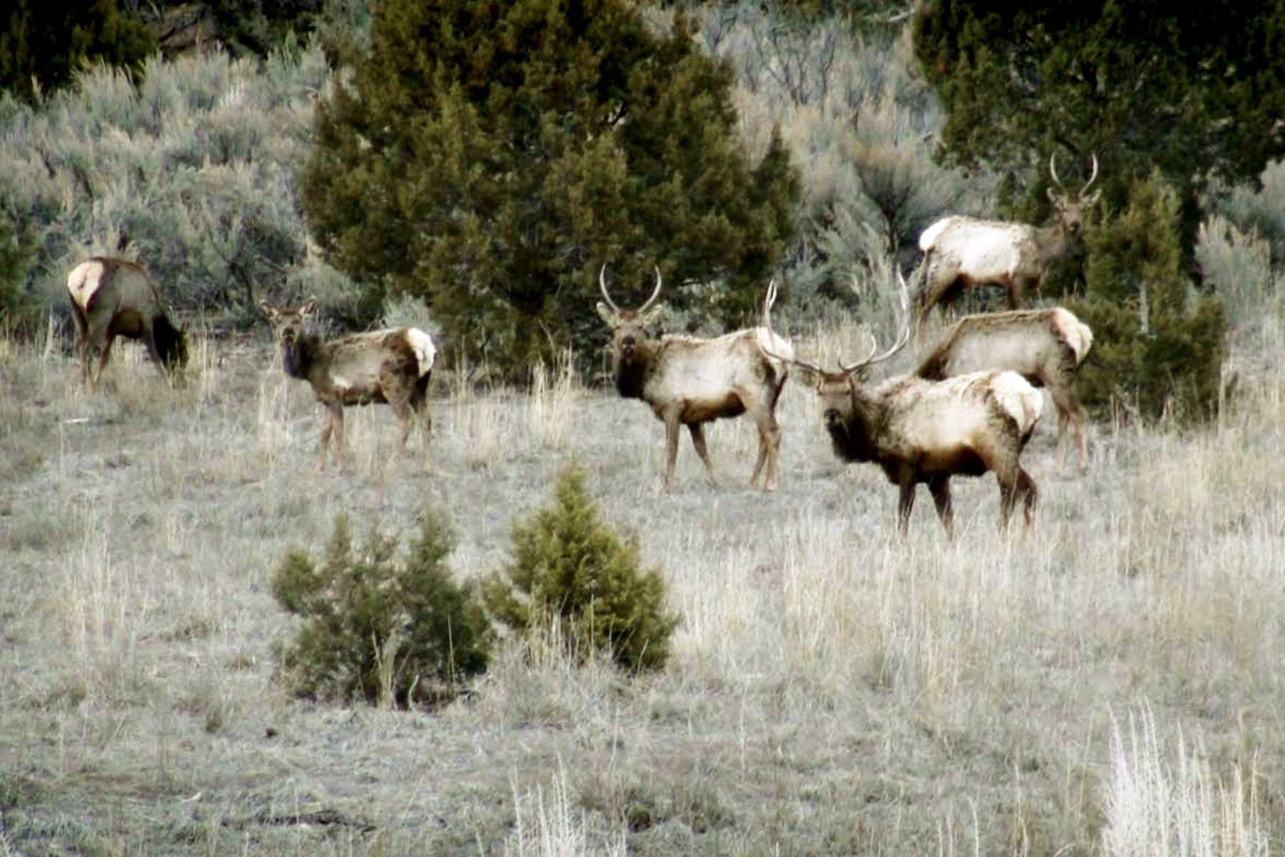 Kessler Canyon - Hall and Hall