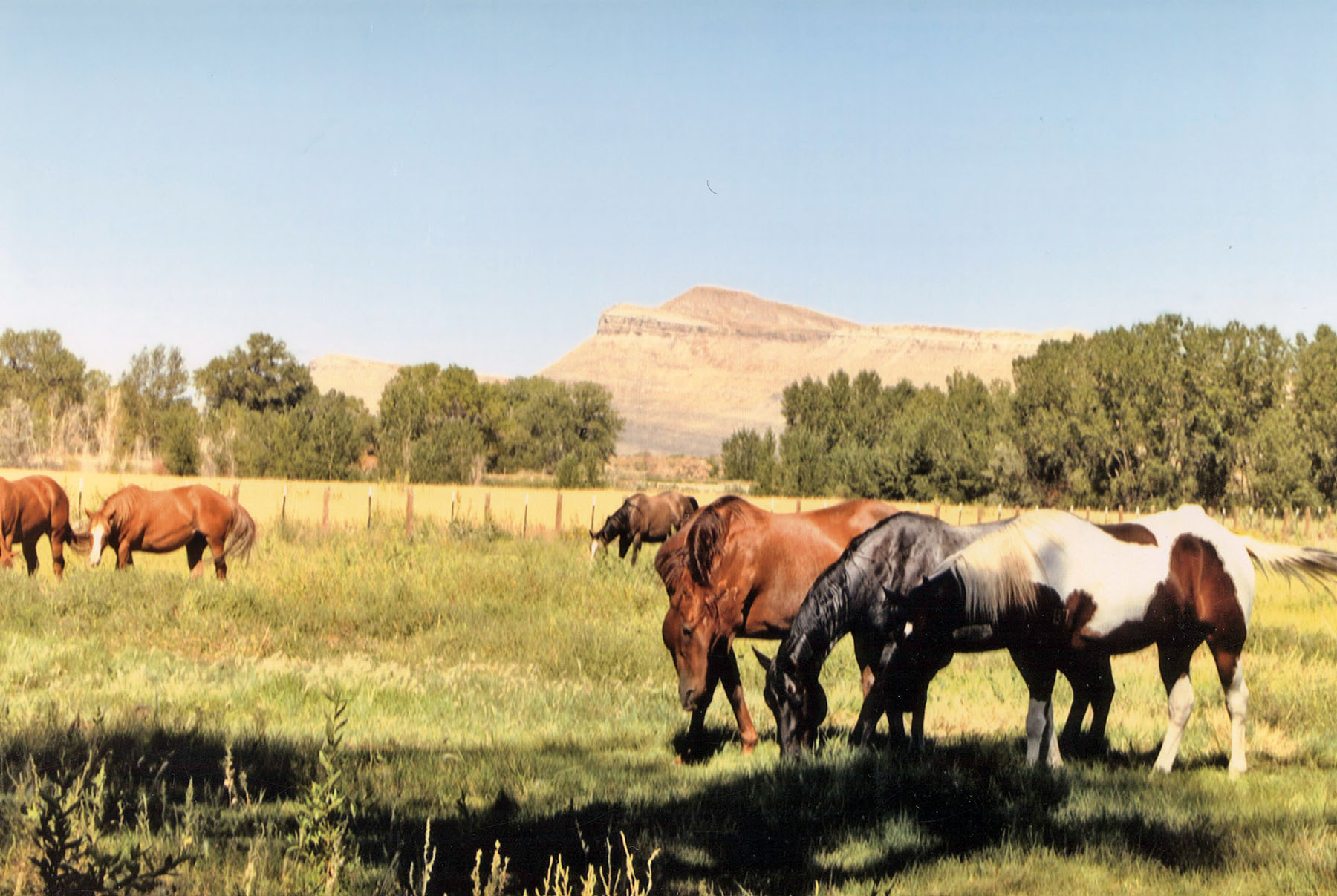 Wyoming Horse Ranch - Sold - Wyoming - Hall and Hall
