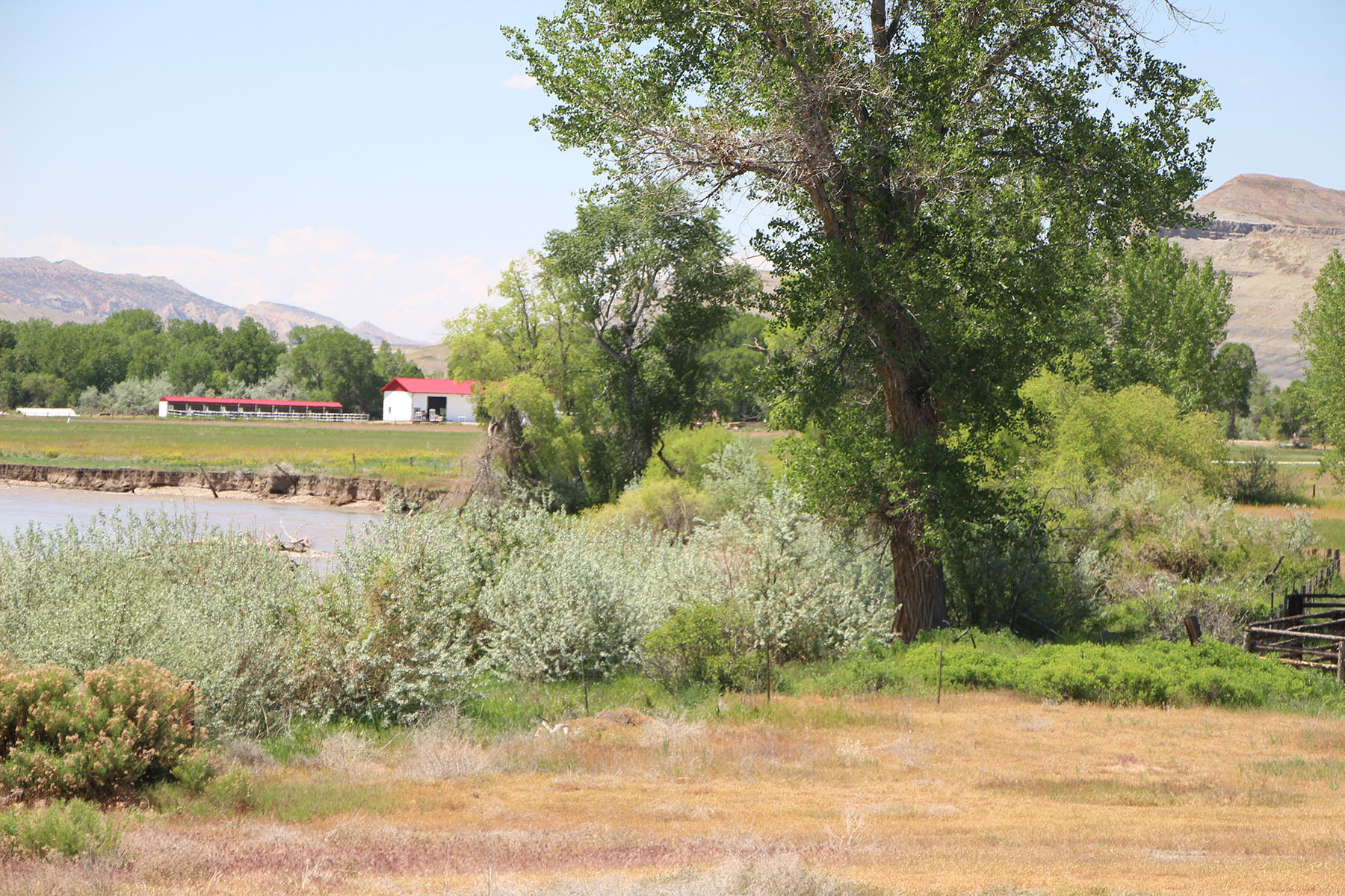 Wyoming Horse Ranch - Sold - Wyoming - Hall and Hall
