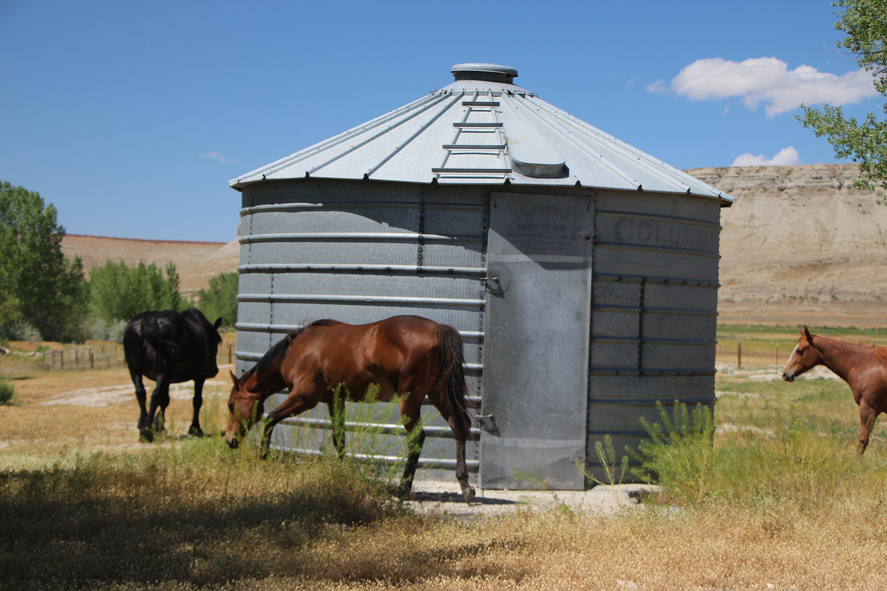 Wyoming Horse Ranch - Sold - Wyoming - Hall and Hall