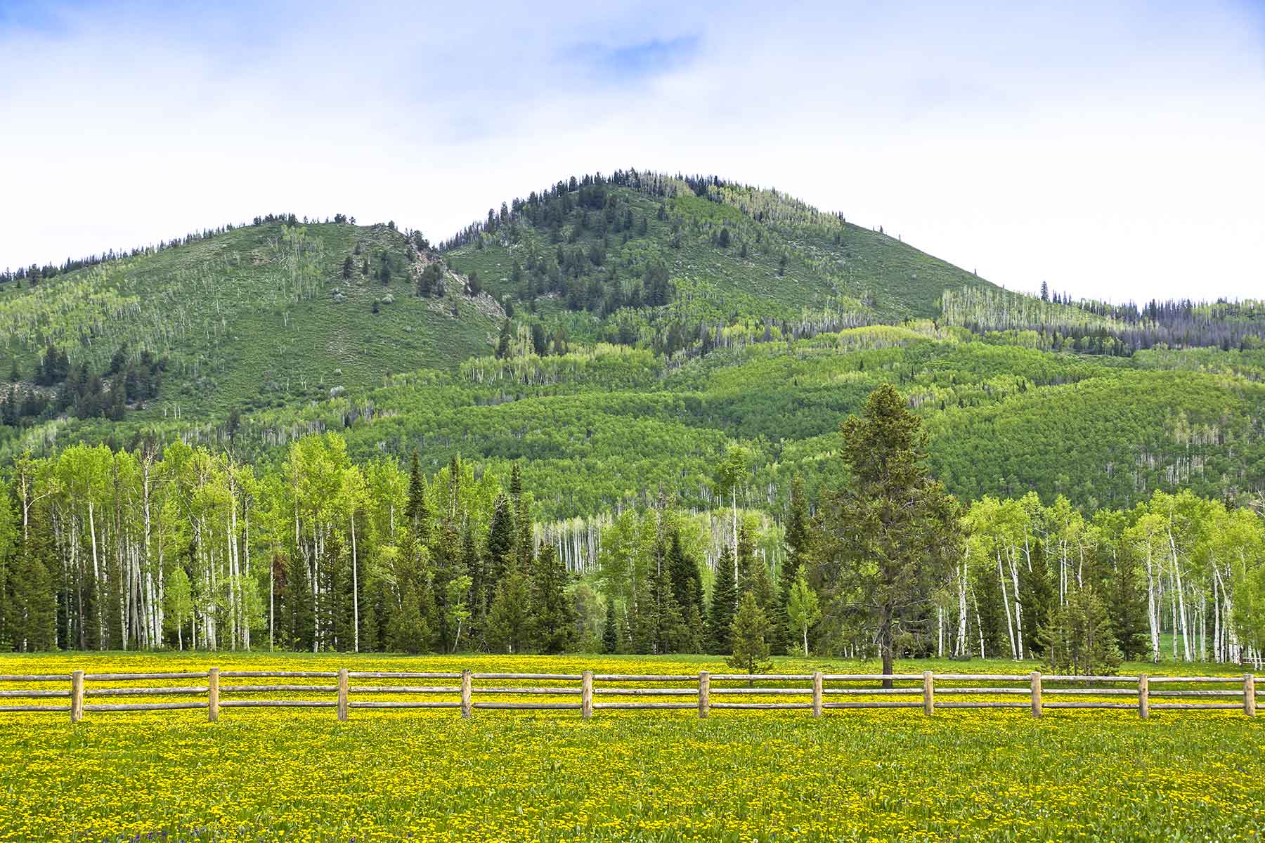 Snowy Mountain Ranch - Sold - Colorado - Hall and Hall