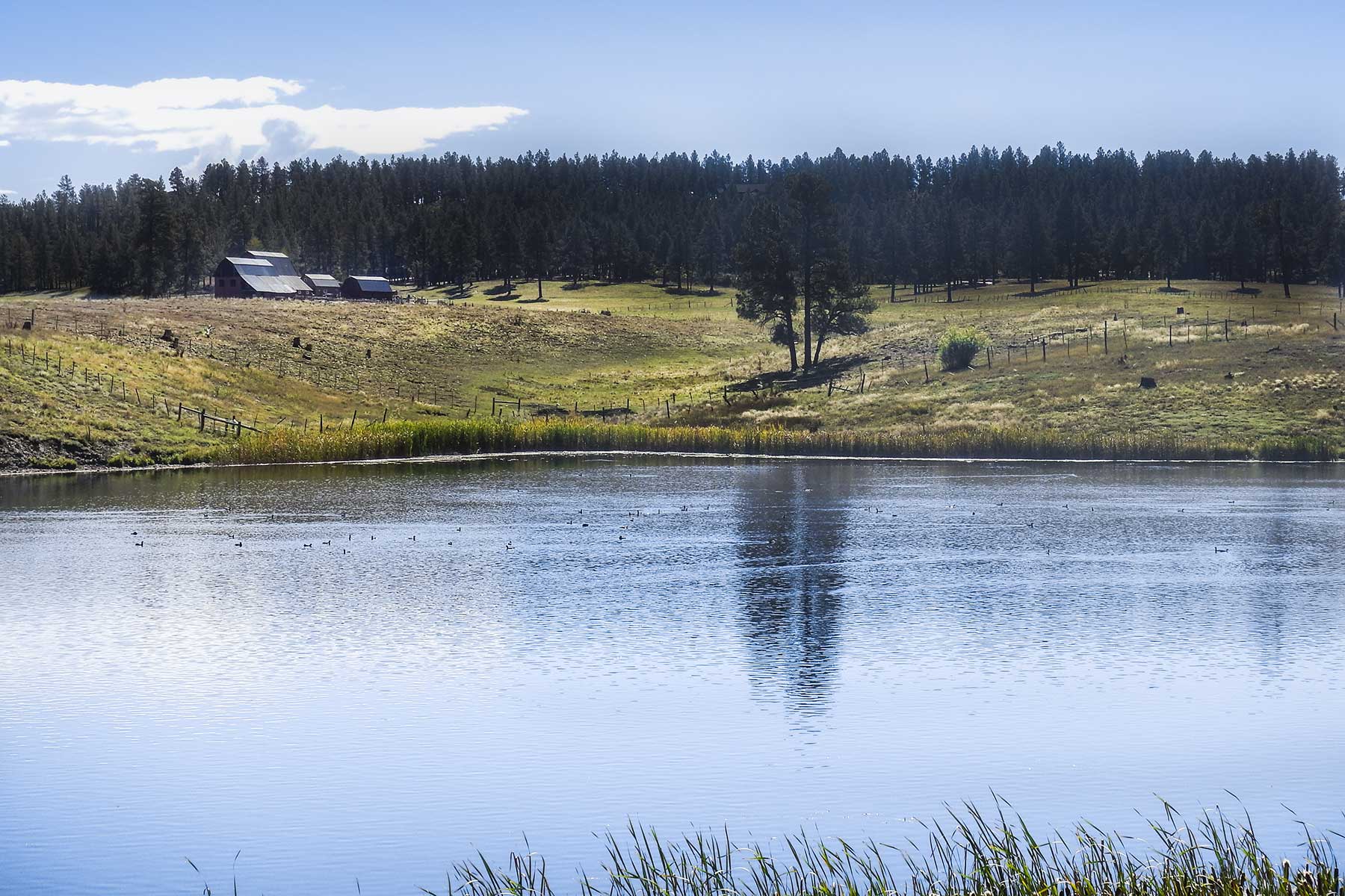 Jackson Creek Ranch - Sold - Colorado - Hall and Hall