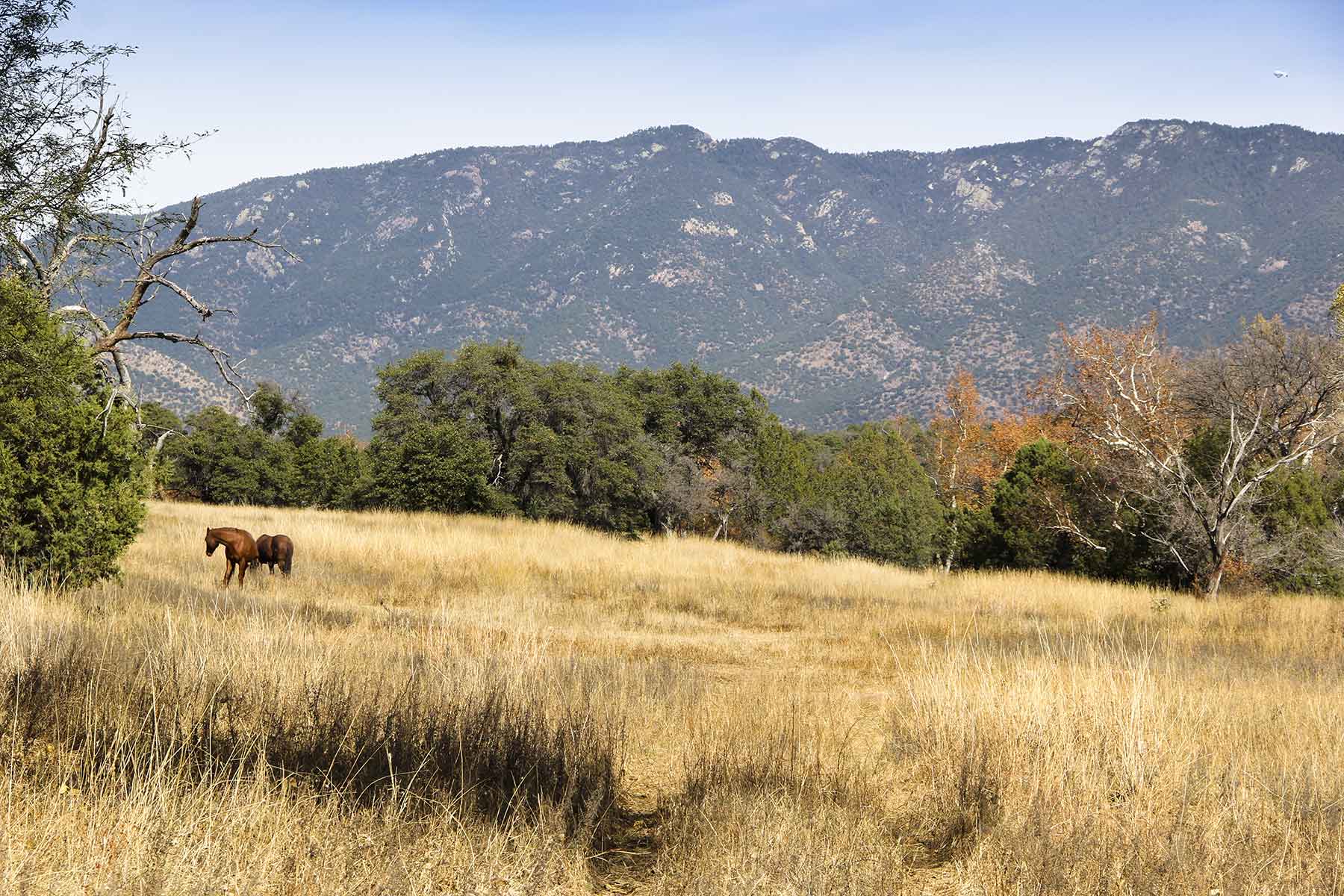 Mission Oaks Ranch - Sold - Arizona - Hall and Hall