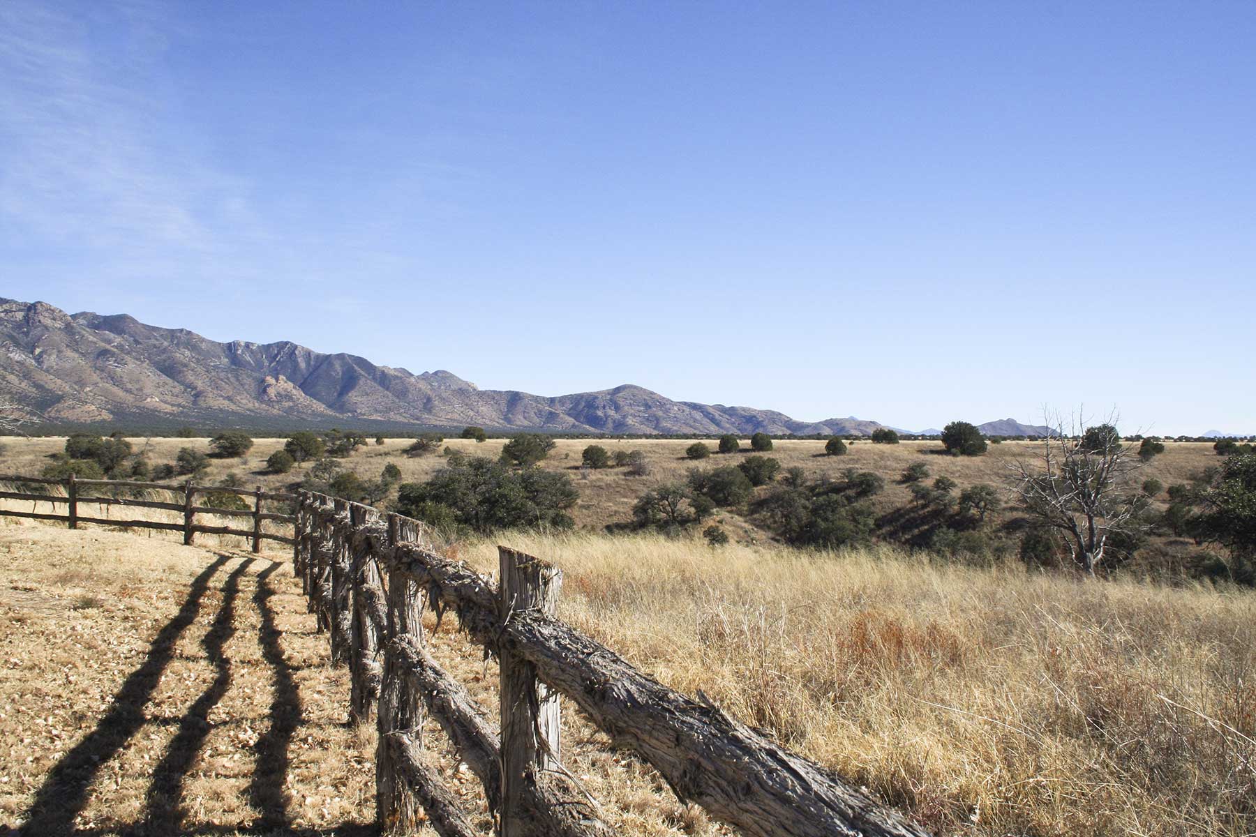 Mission Oaks Ranch - Sold - Arizona - Hall and Hall
