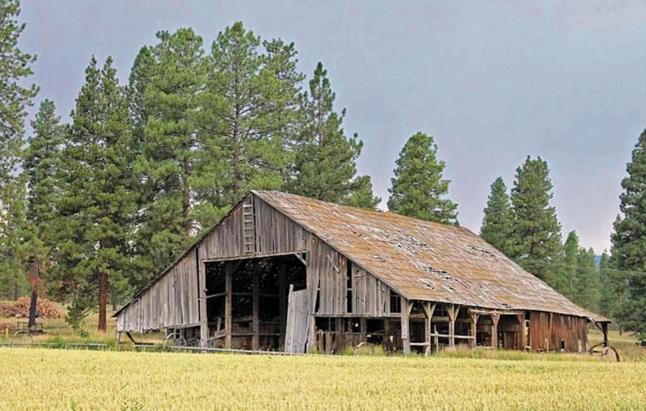 Chapman Ranch - Sold - Oregon - Hall and Hall