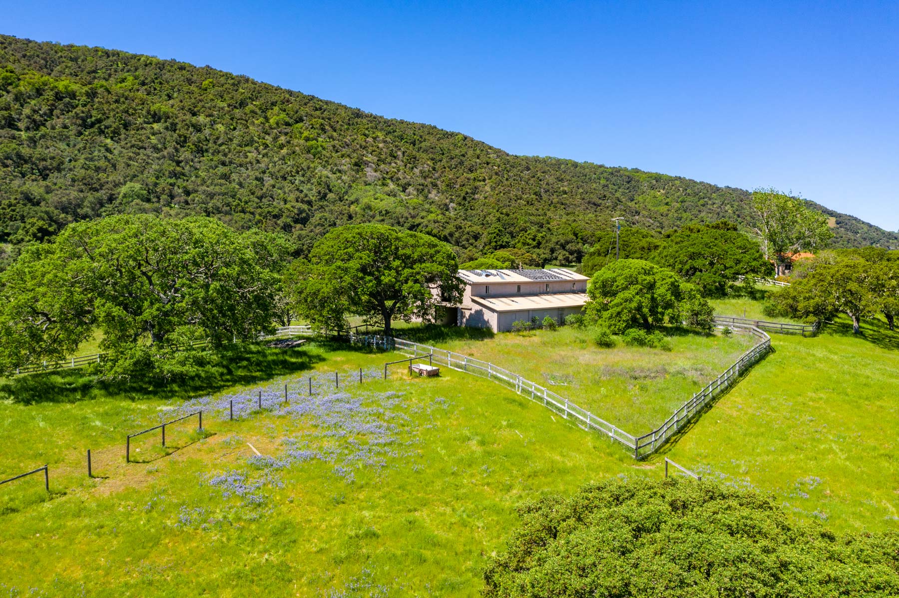 Rana Creek Ranch - Sold - California - Hall and Hall