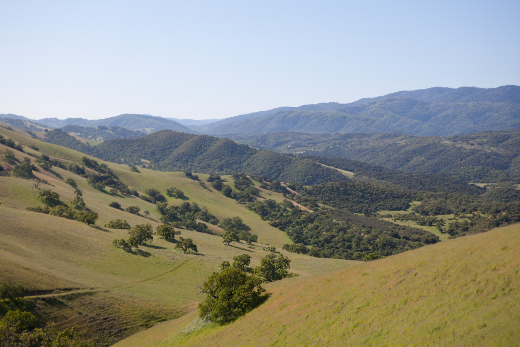 Rana Creek Ranch - Hall and Hall