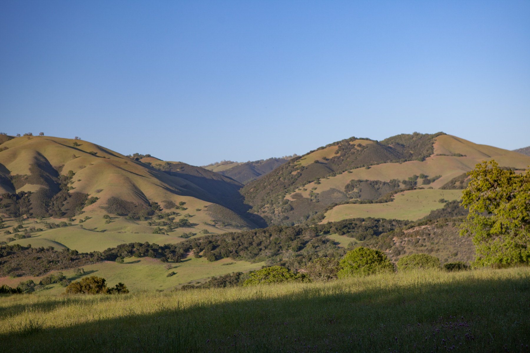 Rana Creek Ranch - Hall and Hall