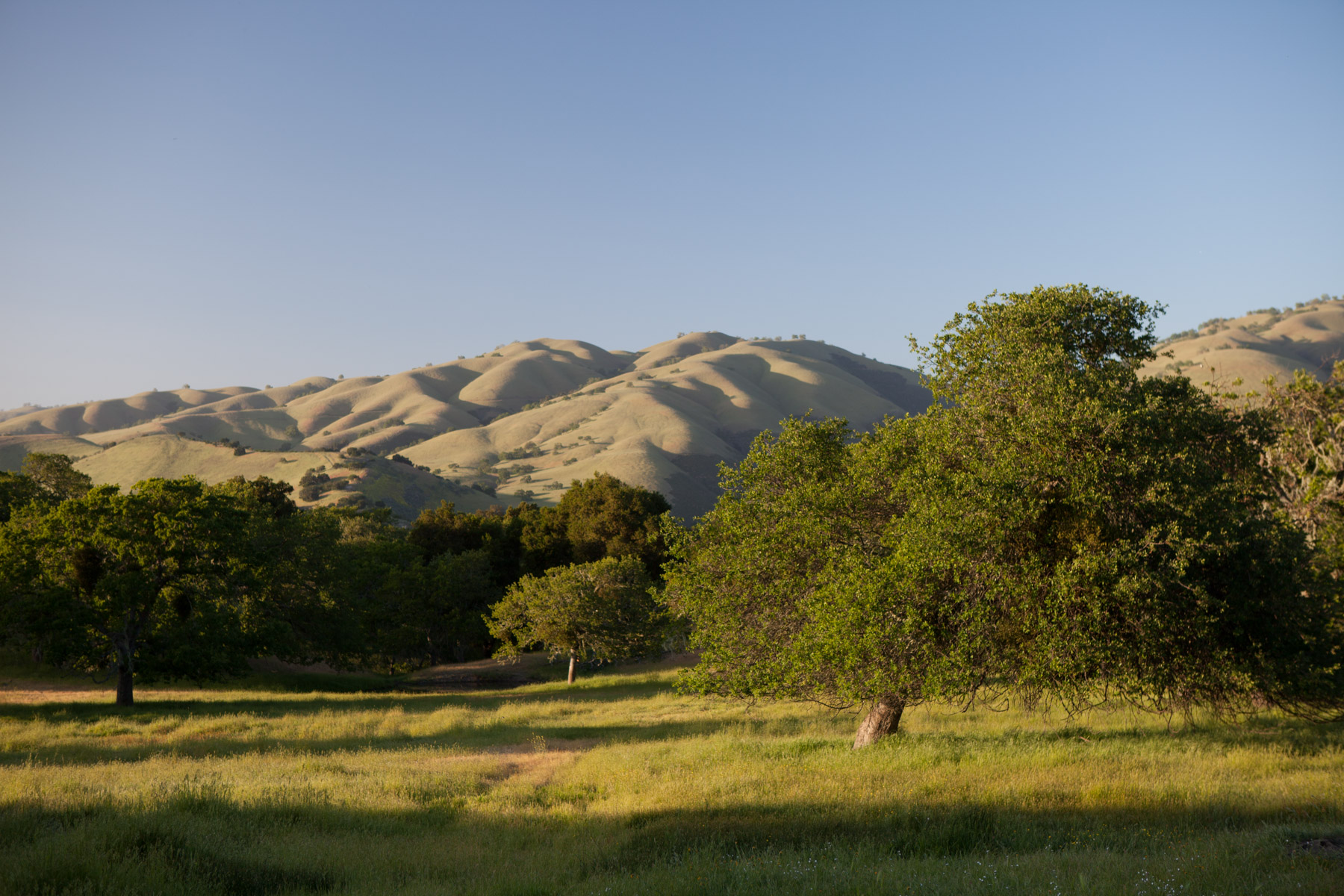 Rana Creek Ranch - Hall and Hall