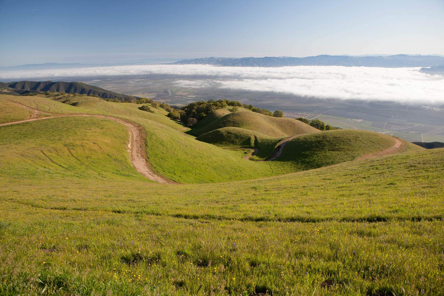 Rana Creek Ranch - Hall and Hall