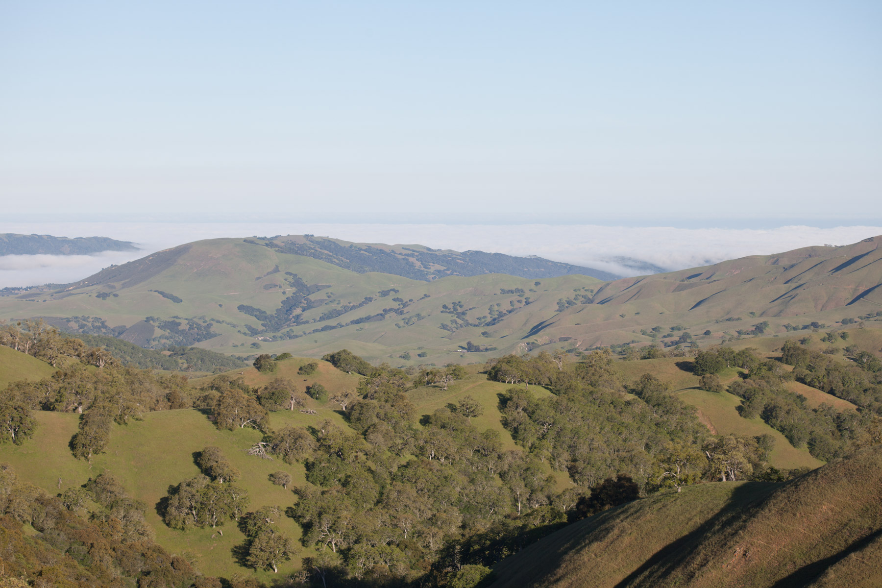 Rana Creek Ranch - Hall and Hall