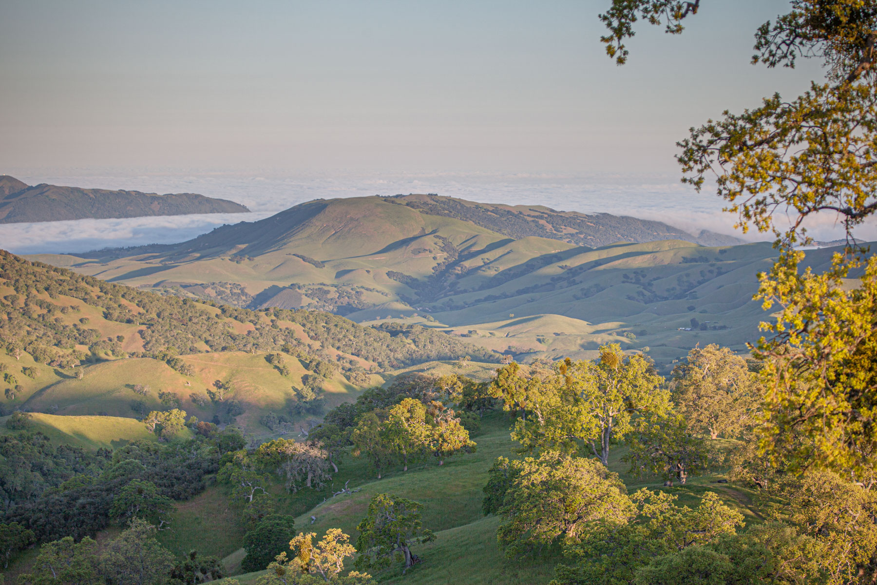 Rana Creek Ranch - Hall and Hall