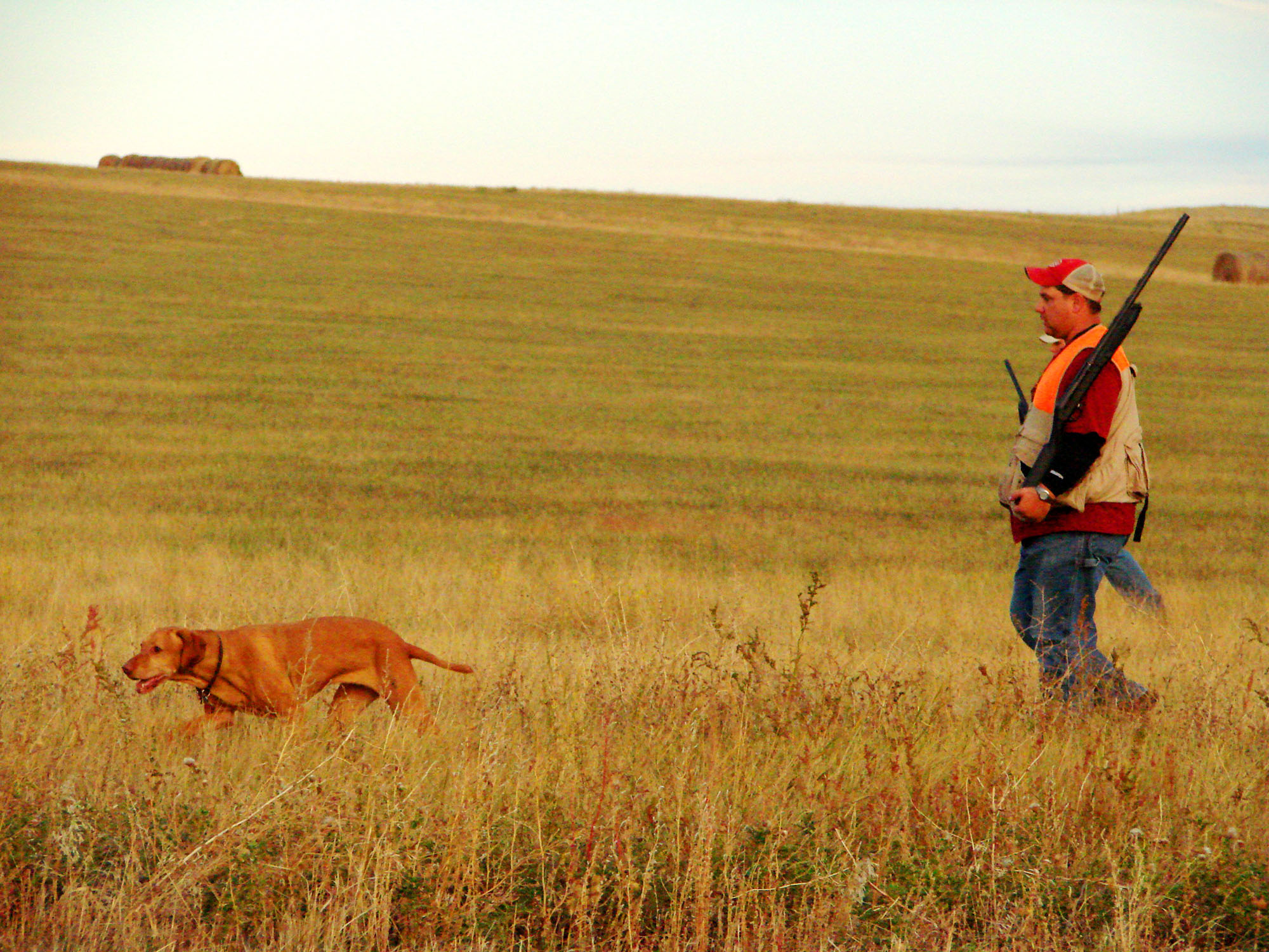 Triple U Ranch - Past Auction - South Dakota - Hall and Hall