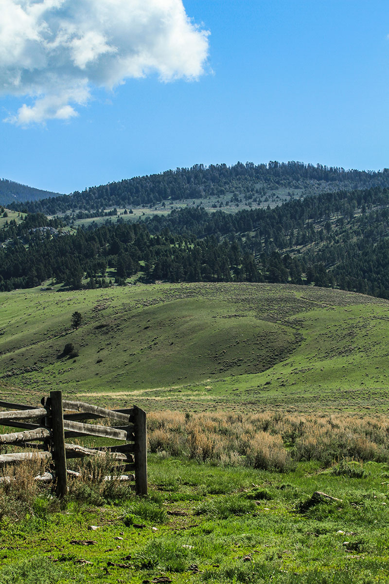 Elk Peak Ranch - Sold - Montana - Hall and Hall