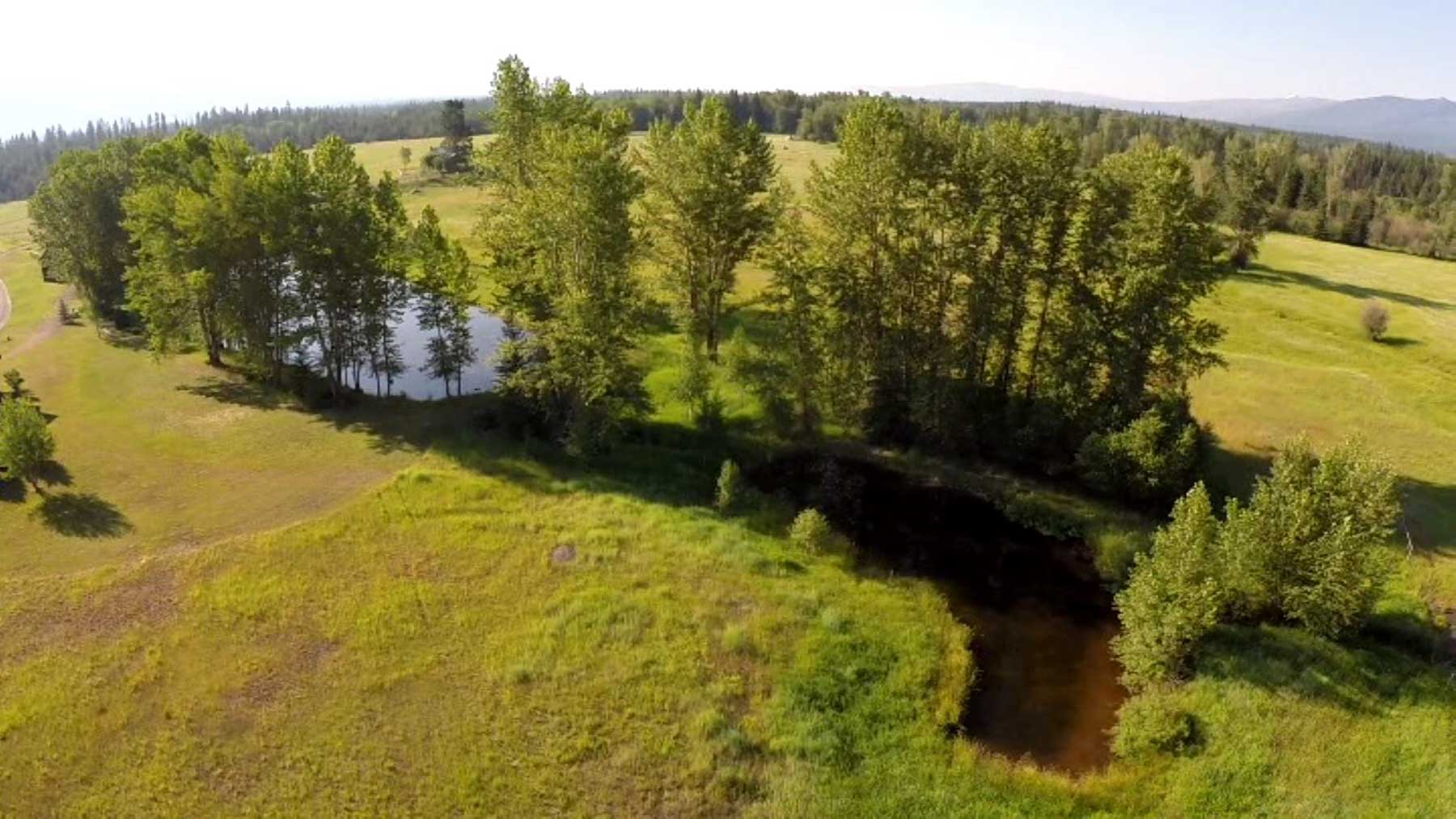 Lazy E Bar Z Ranch - Sold - Montana - Hall and Hall