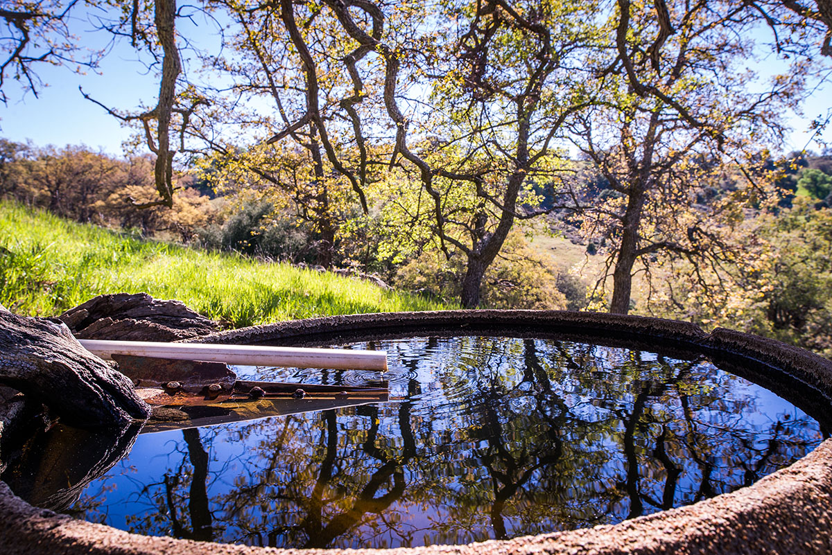Los Robles Ranch - Sold - California - Hall and Hall