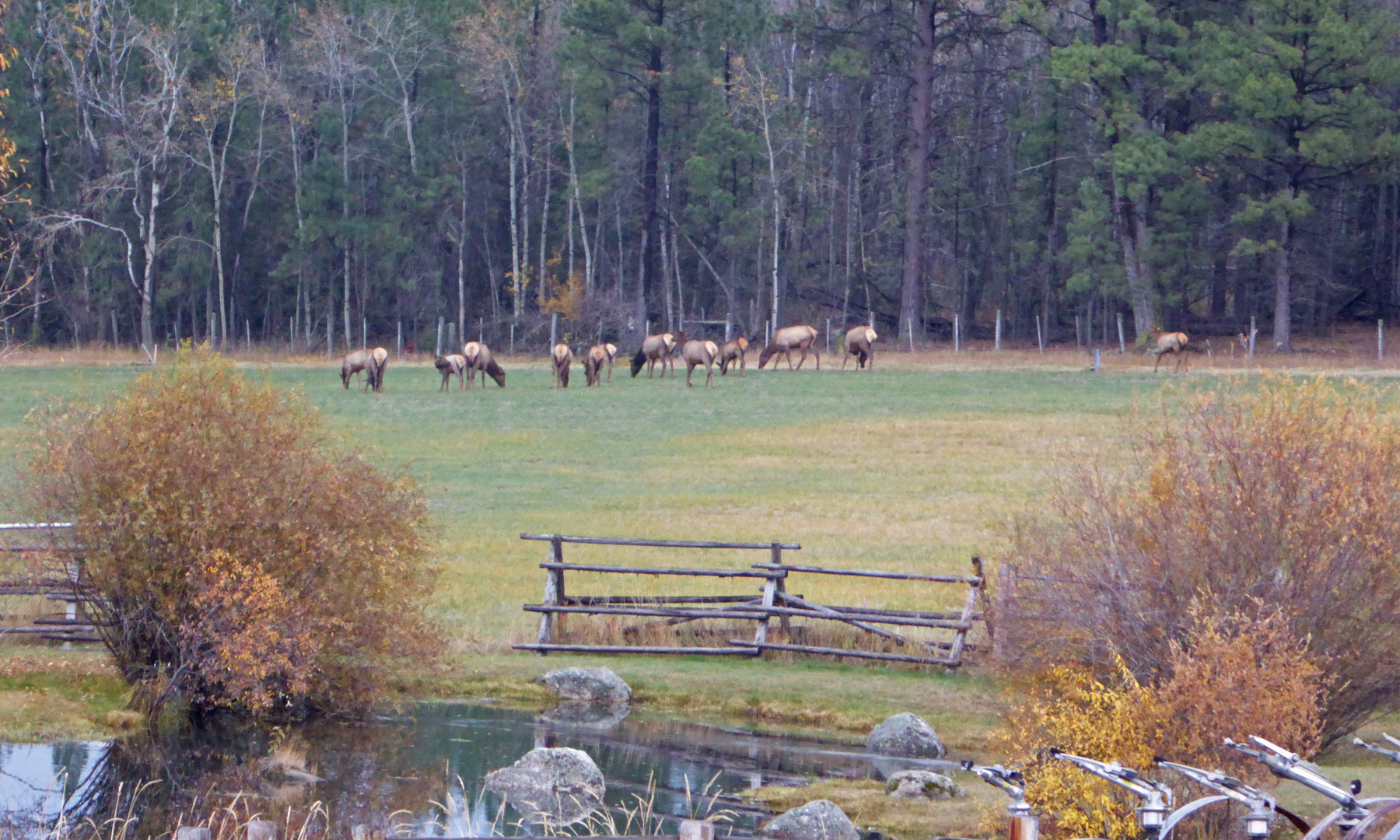 One Horse Creek Ranch - Sold - Montana - Hall and Hall