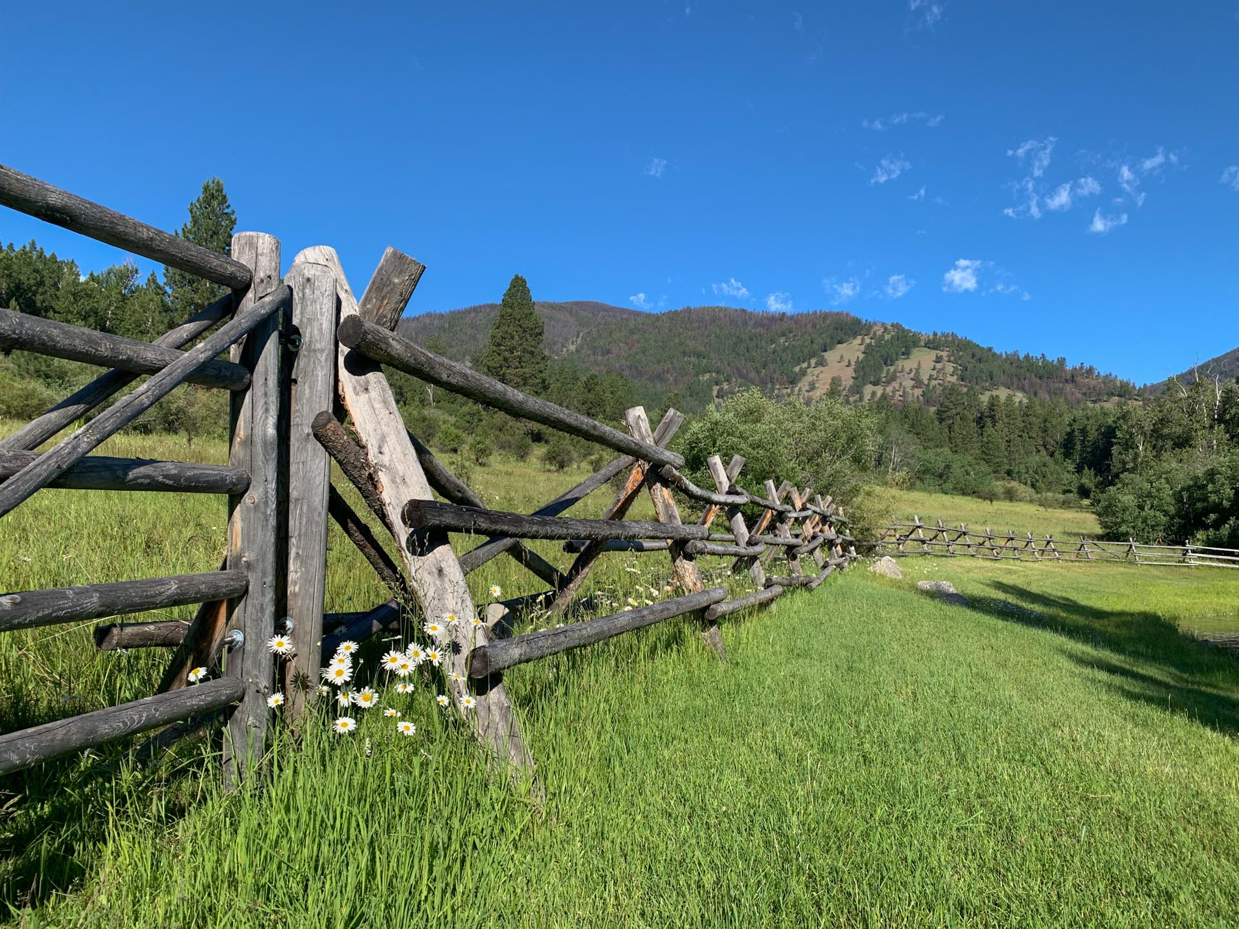 One Horse Creek Ranch - Sold - Montana - Hall and Hall
