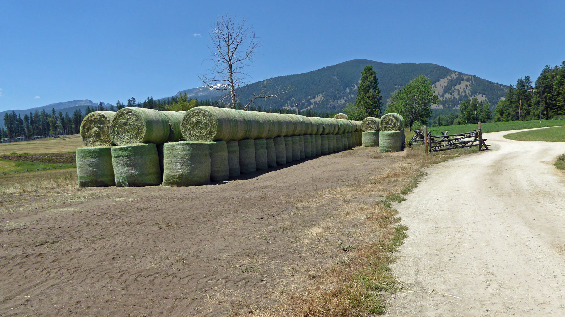 One Horse Creek Ranch - Hall and Hall