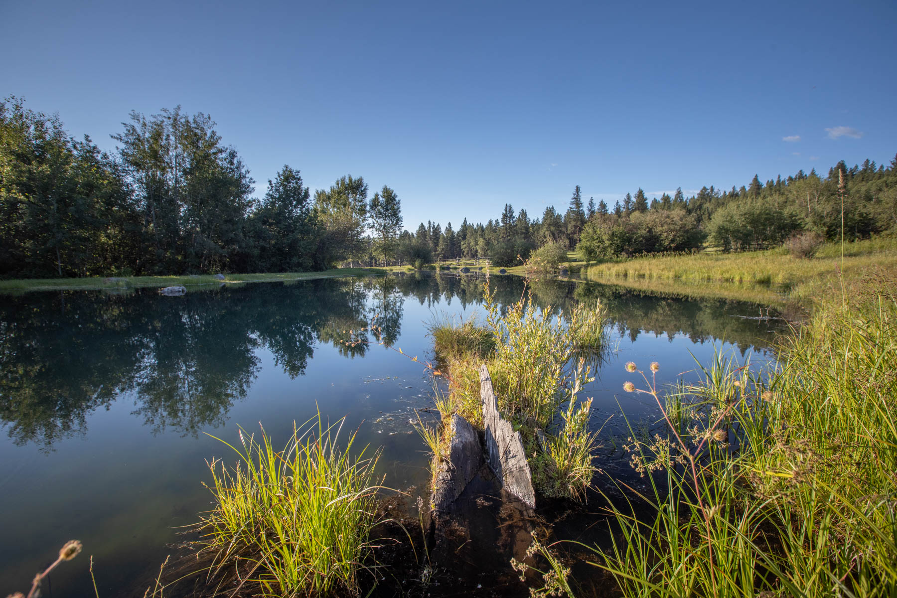 One Horse Creek Ranch - Sold - Montana - Hall and Hall