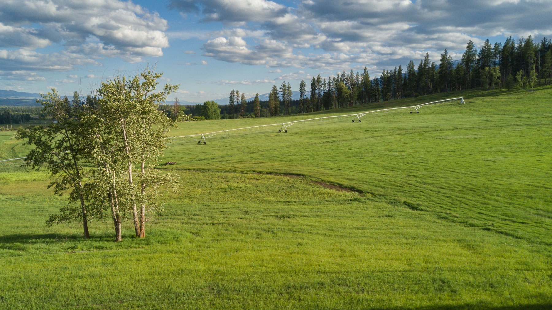 One Horse Creek Ranch - Hall and Hall