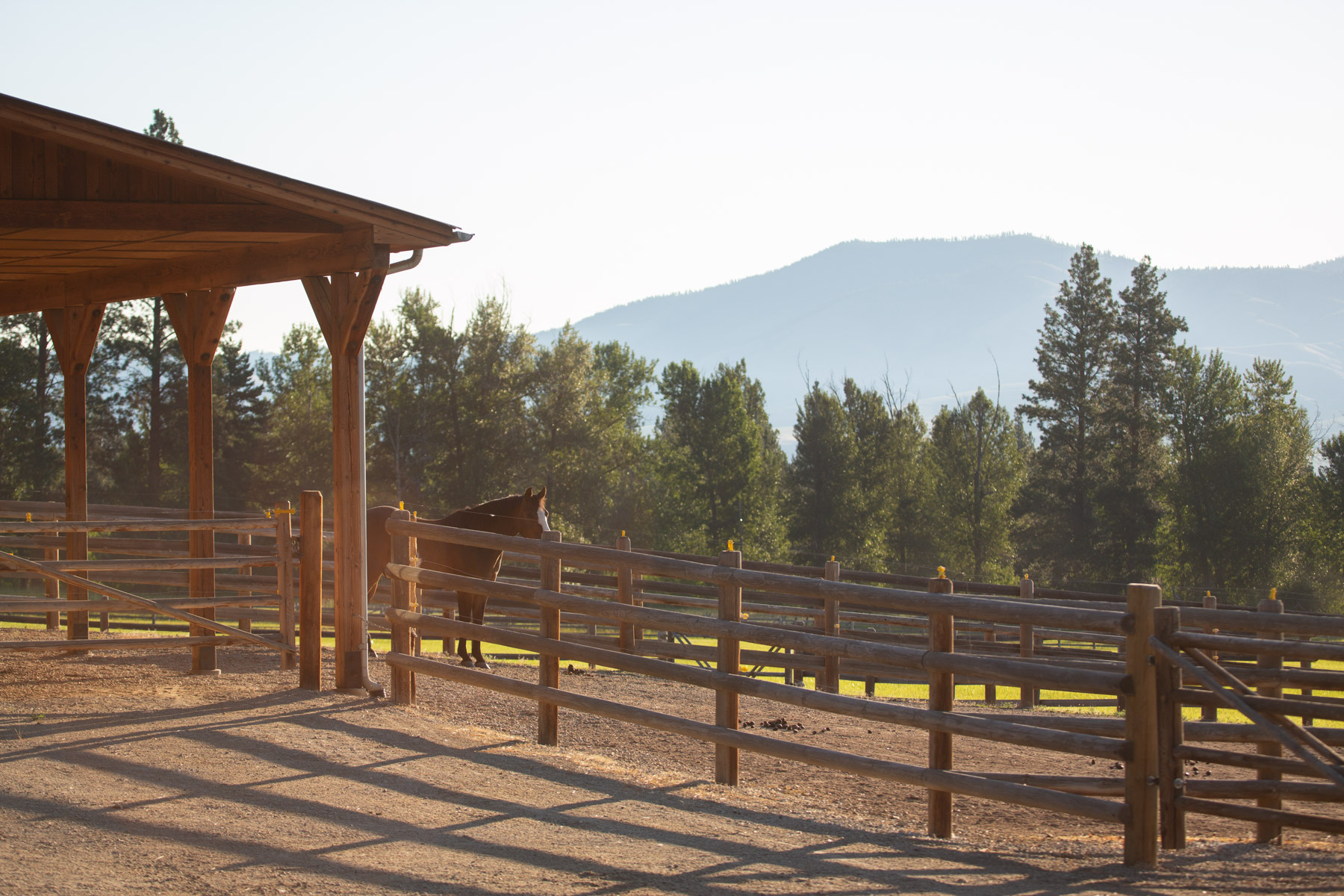 One Horse Creek Ranch - Hall and Hall