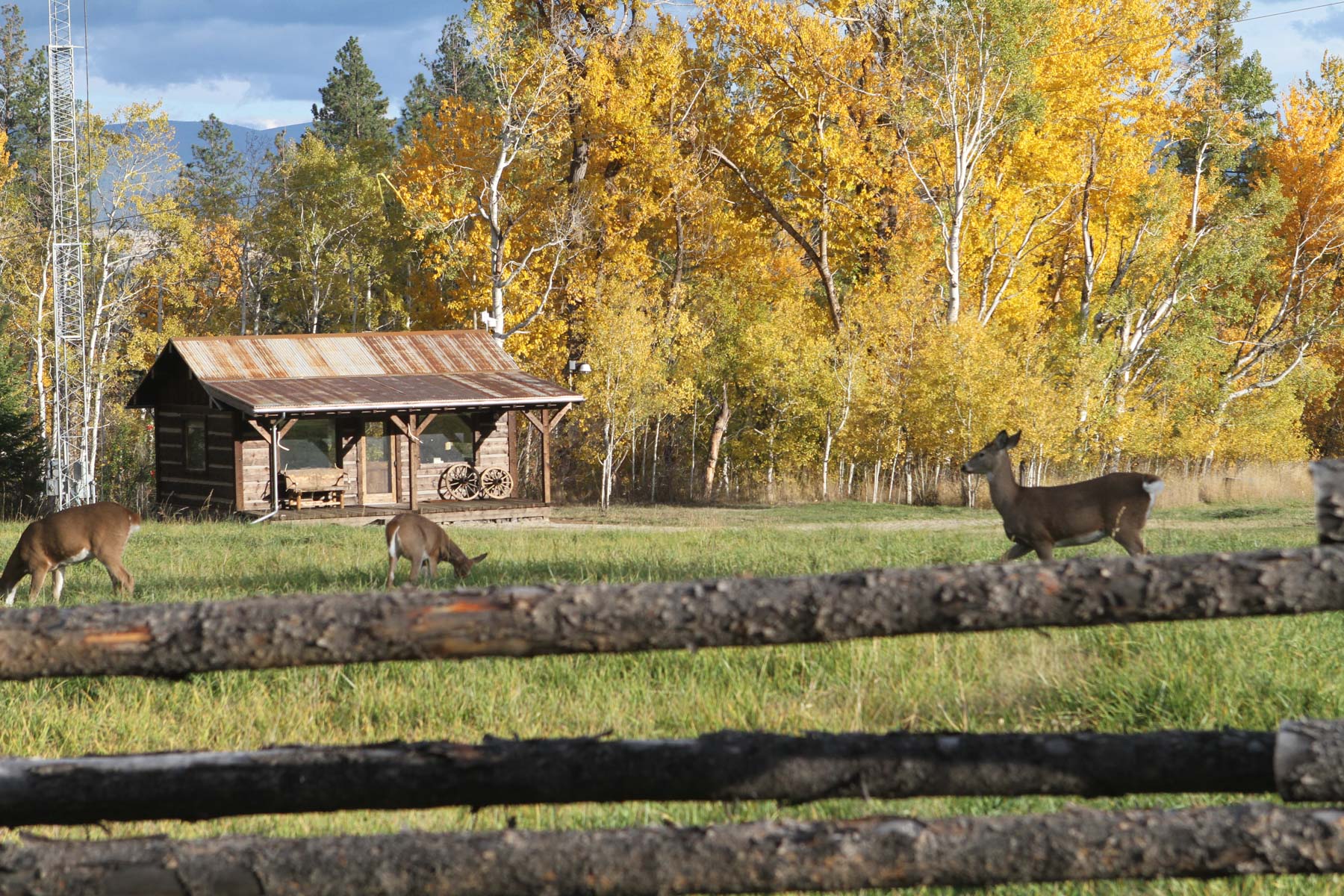 One Horse Creek Ranch - Hall and Hall