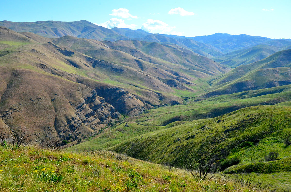 Rocking M Ranch Unit - Sold - Idaho - Hall and Hall