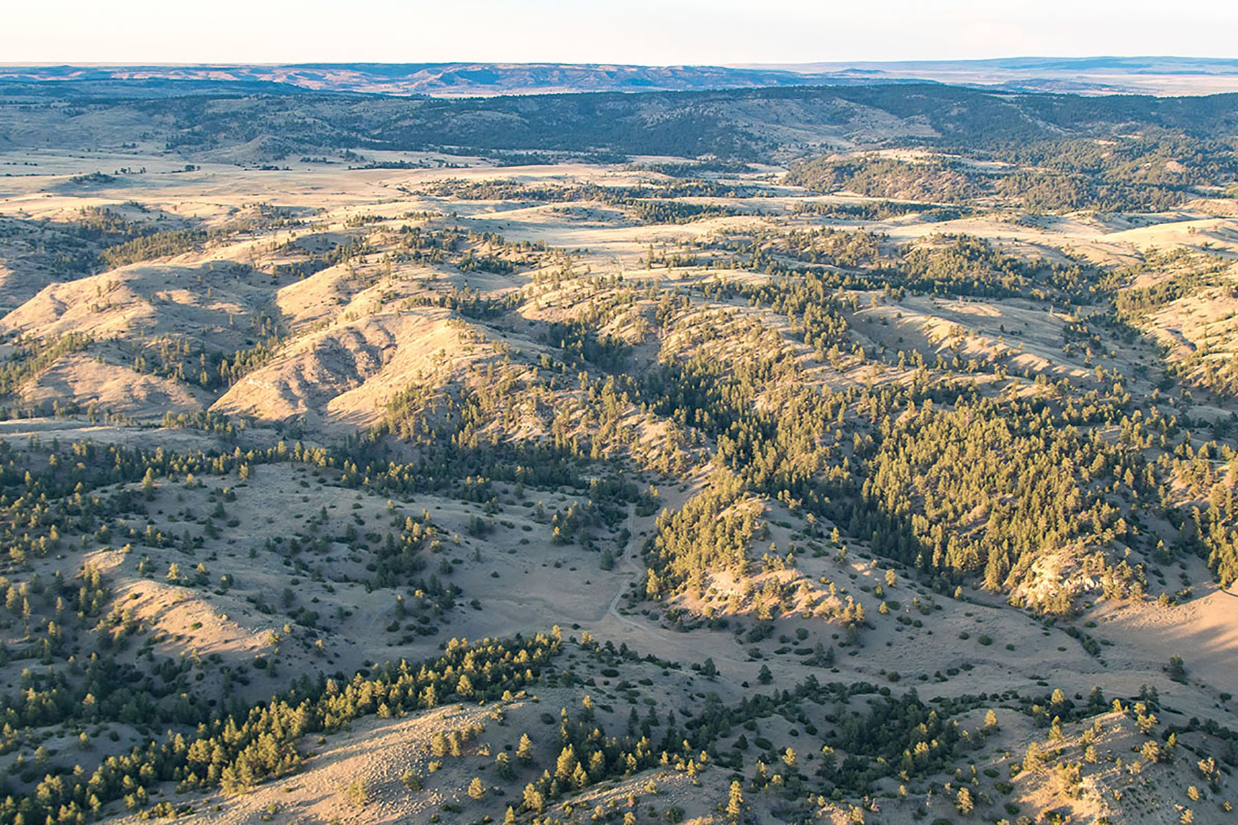 Hobble Diamond Ranch - South Unit - Sold - Montana - Hall and Hall