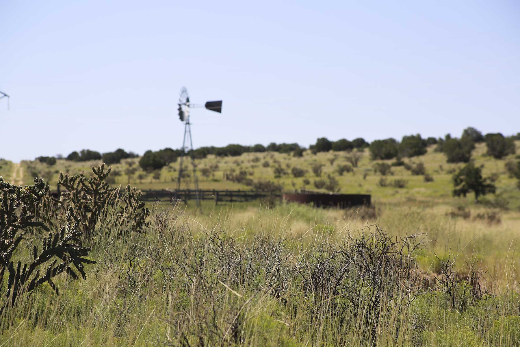 King Brothers' Alamo Ranch - Sold - New Mexico - Hall and Hall