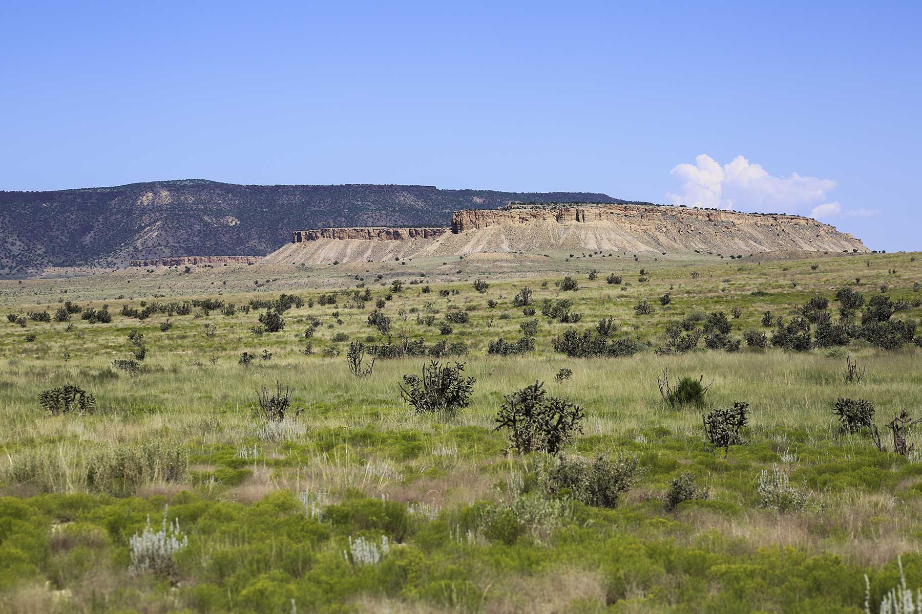 King Brothers' Alamo Ranch - Sold - New Mexico - Hall and Hall