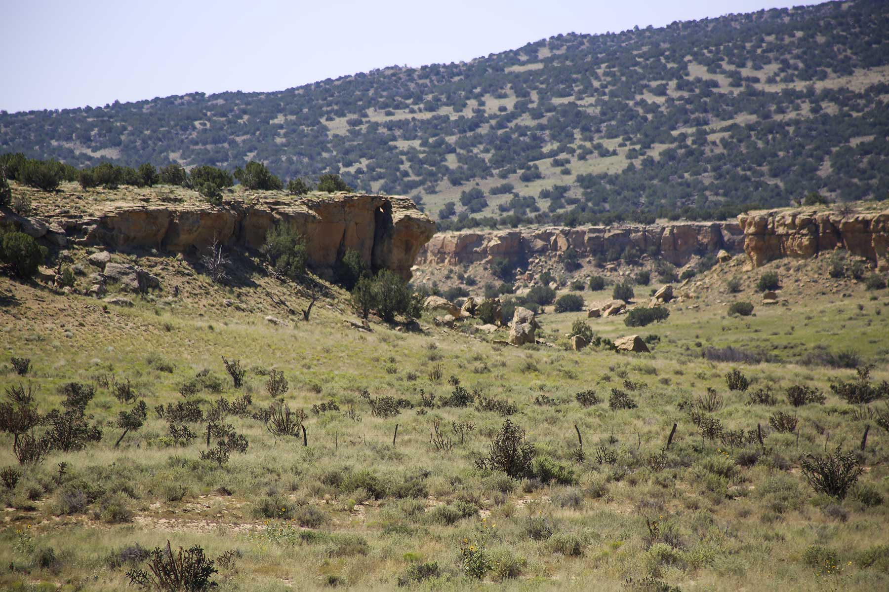 King Brothers' Alamo Ranch - Sold - New Mexico - Hall and Hall