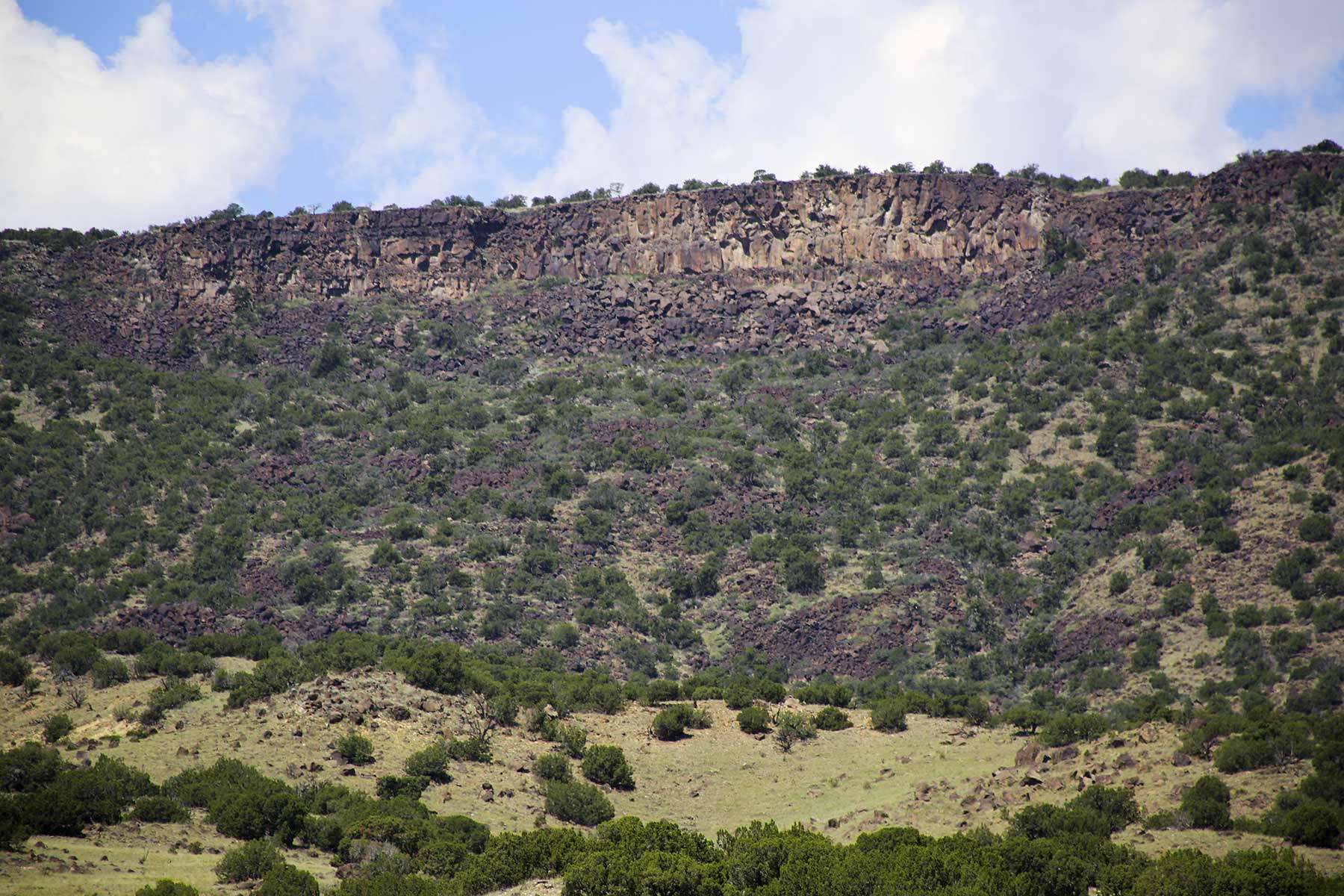 King Brothers' Alamo Ranch - Sold - New Mexico - Hall and Hall