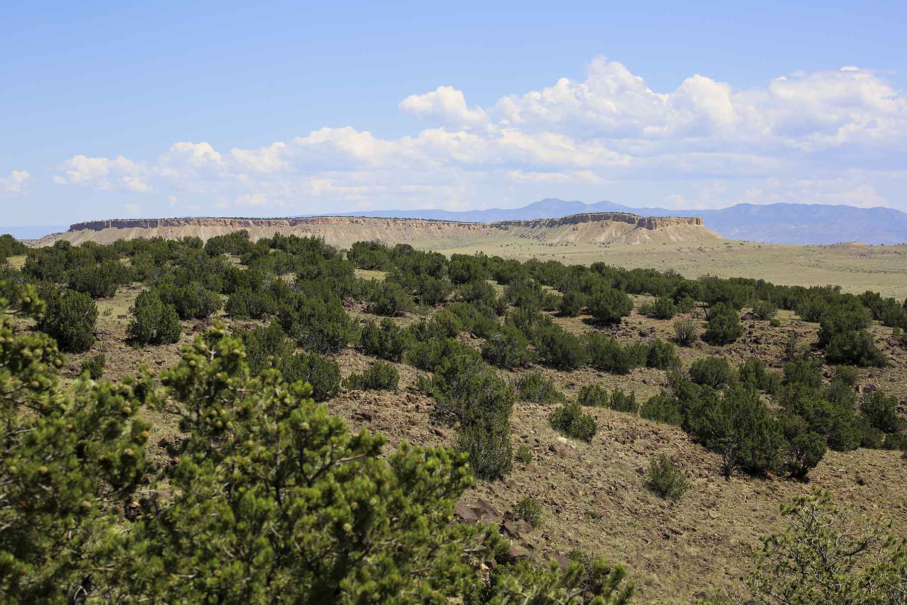 King Brothers' Alamo Ranch - Sold - New Mexico - Hall and Hall