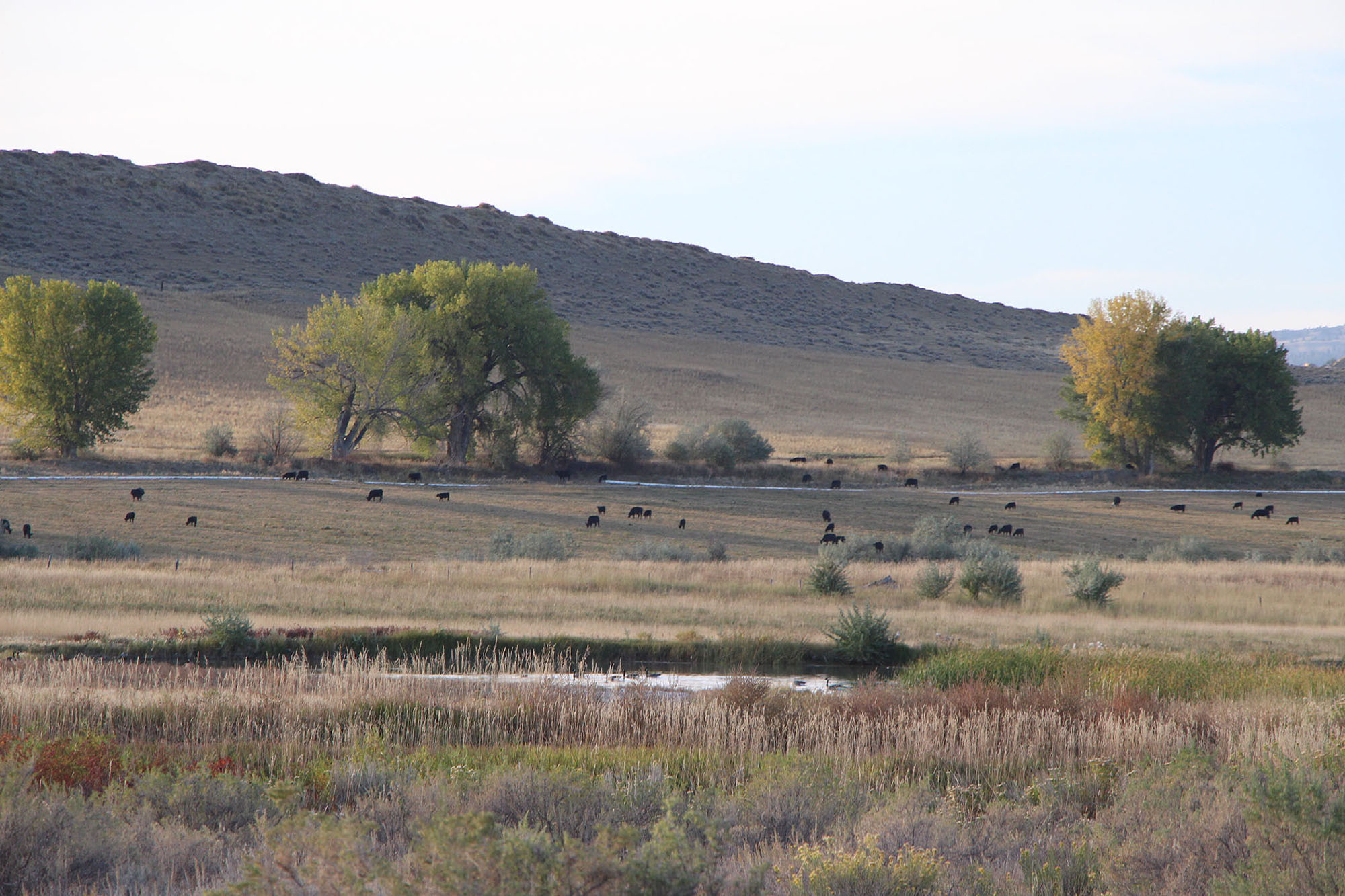 Rocking JY Ranch - Sold - Montana - Hall and Hall