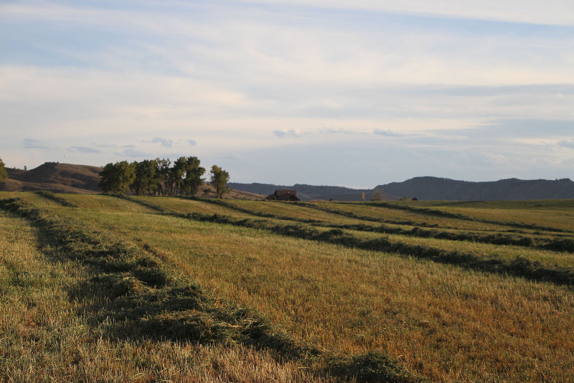 Rocking JY Ranch - Sold - Montana - Hall and Hall