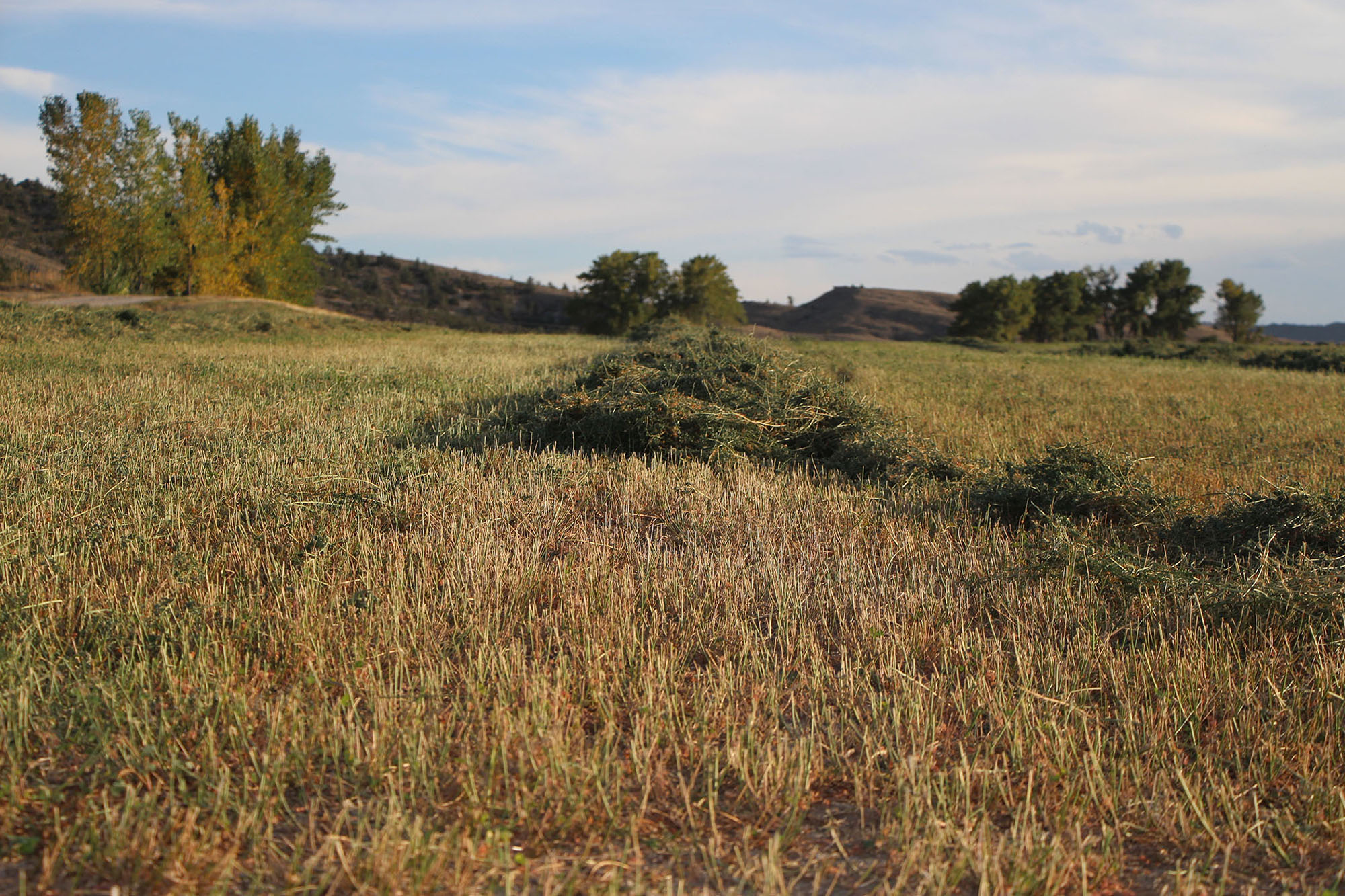 Rocking JY Ranch - Sold - Montana - Hall and Hall