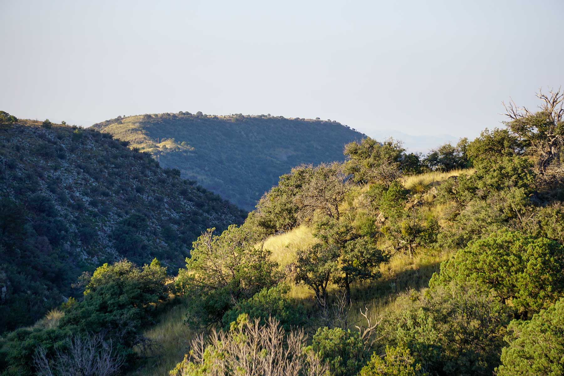 Livermore Ranch ~ Last of the Great Places - Sold - Texas - Hall and Hall