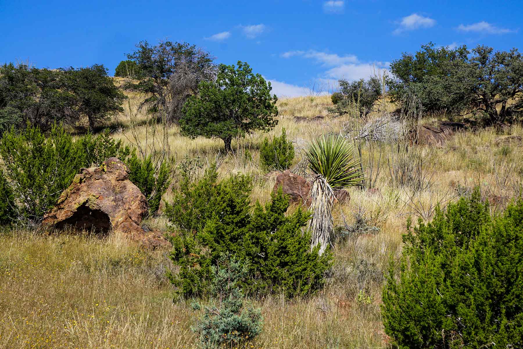 Livermore Ranch ~ Last of the Great Places - Sold - Texas - Hall and Hall