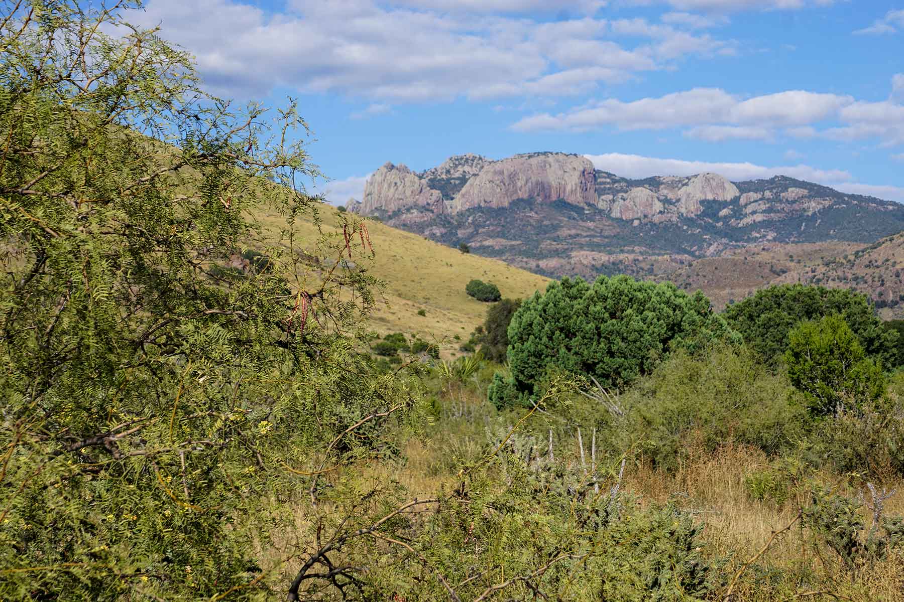 Livermore Ranch ~ Last of the Great Places - Sold - Texas - Hall and Hall