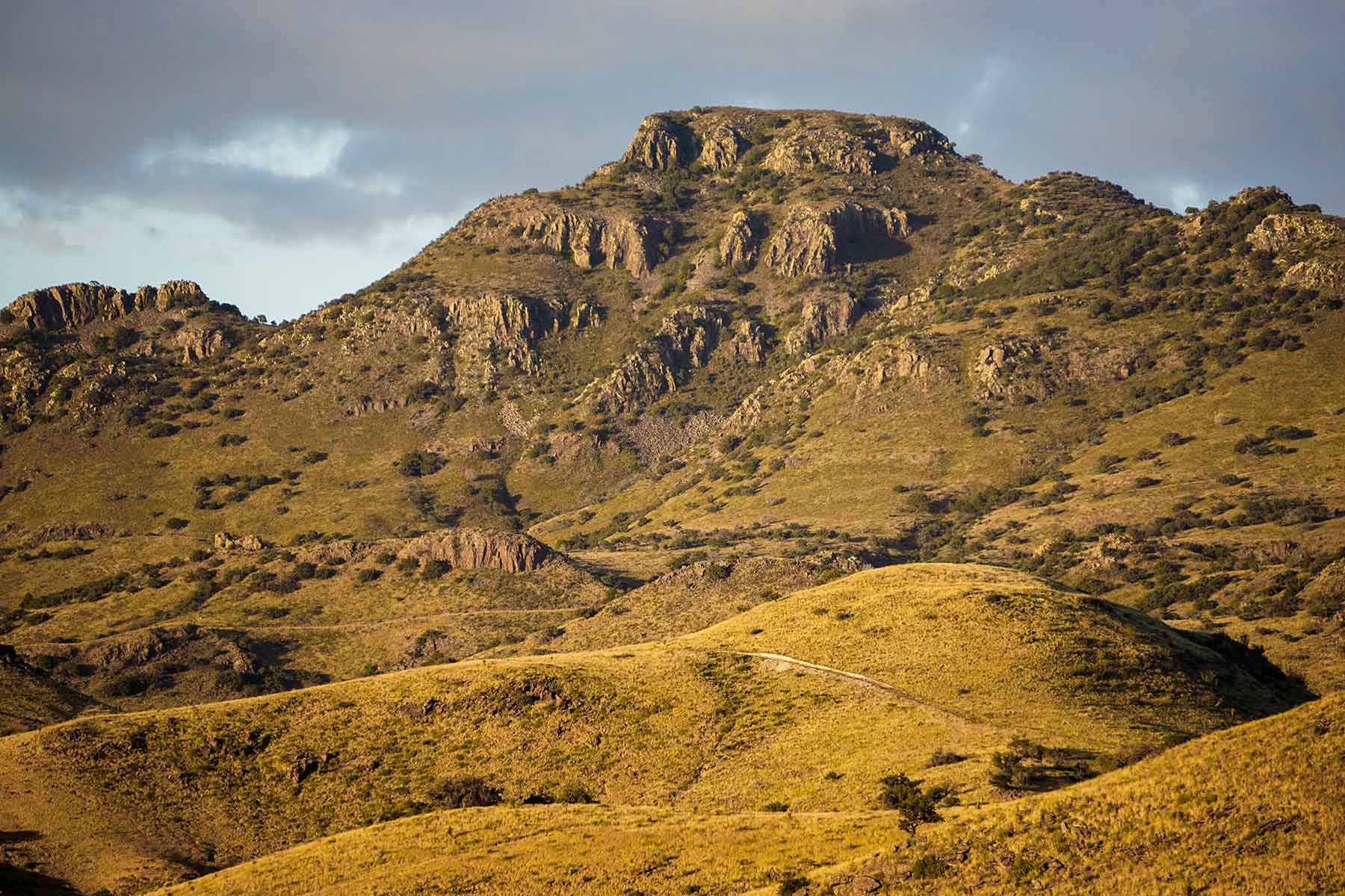 Livermore Ranch ~ Last of the Great Places - Sold - Texas - Hall and Hall