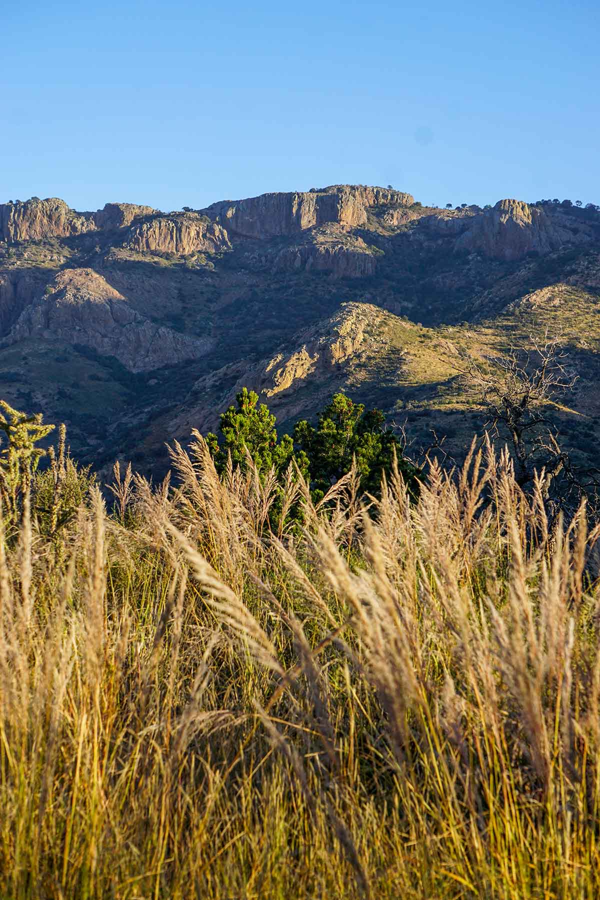 Livermore Ranch ~ Last of the Great Places - Sold - Texas - Hall and Hall