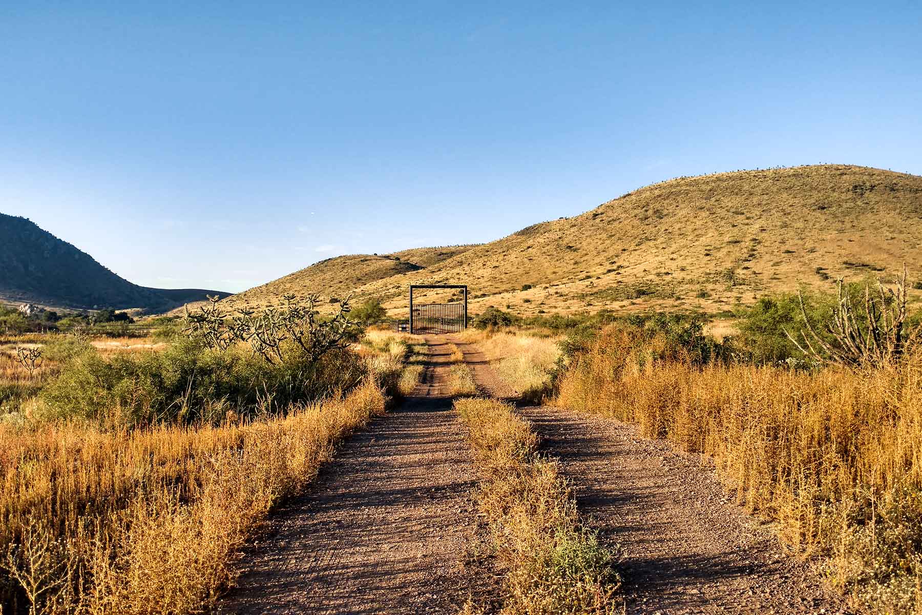 Livermore Ranch ~ Last of the Great Places - Sold - Texas - Hall and Hall