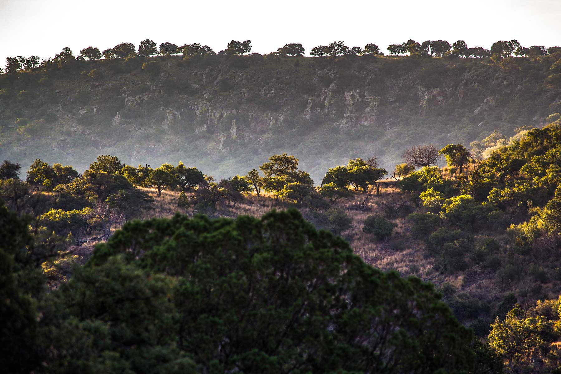 Livermore Ranch ~ Last of the Great Places - Sold - Texas - Hall and Hall