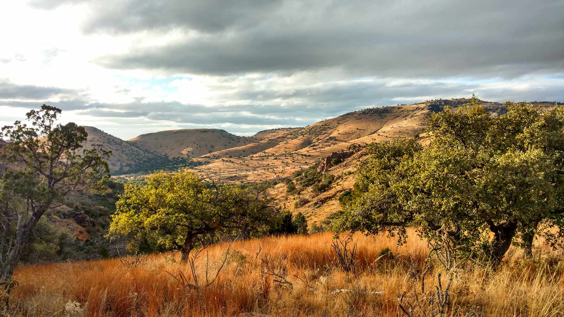 Livermore Ranch ~ Last of the Great Places - Sold - Texas - Hall and Hall