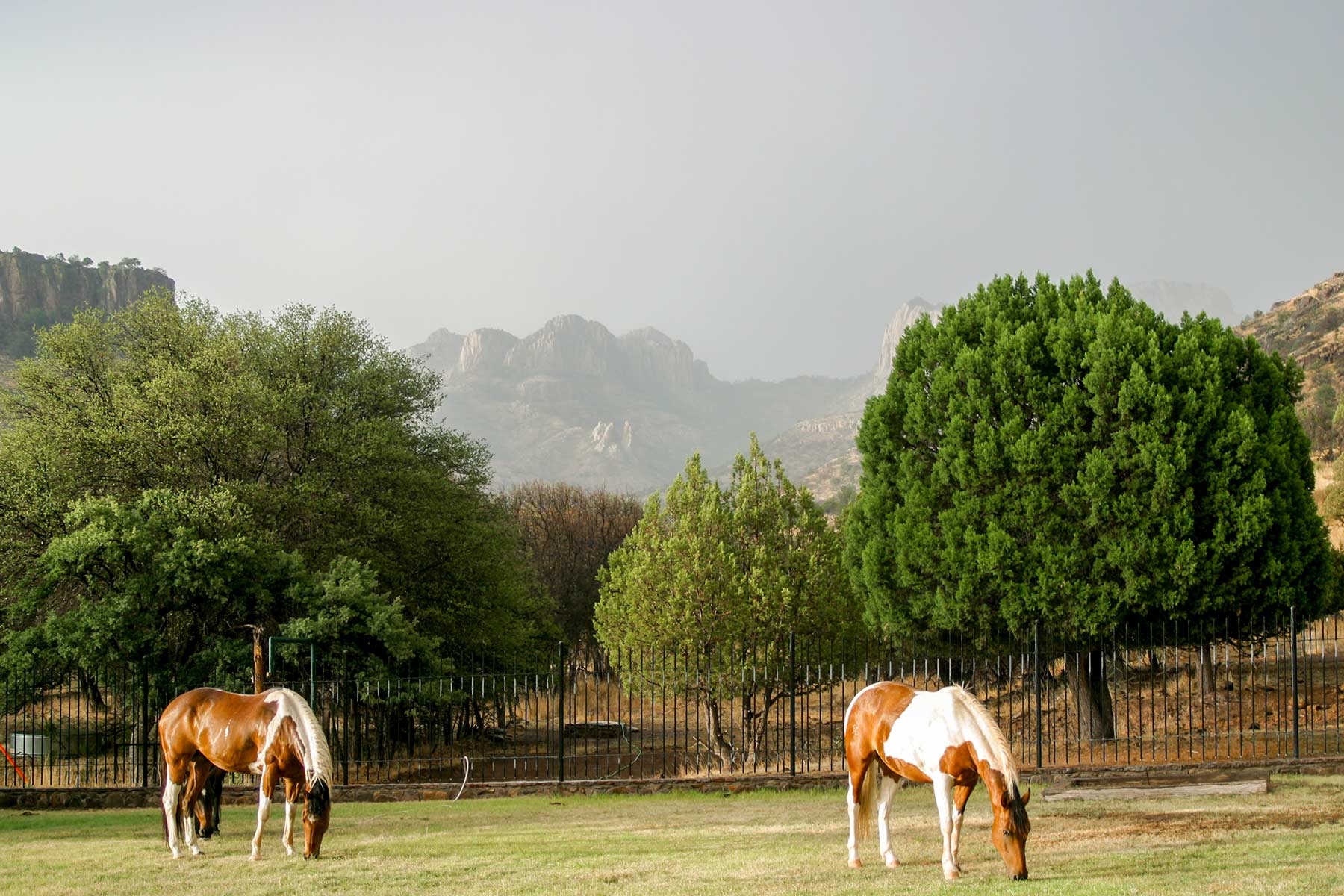 Livermore Ranch ~ Last of the Great Places - Sold - Texas - Hall and Hall