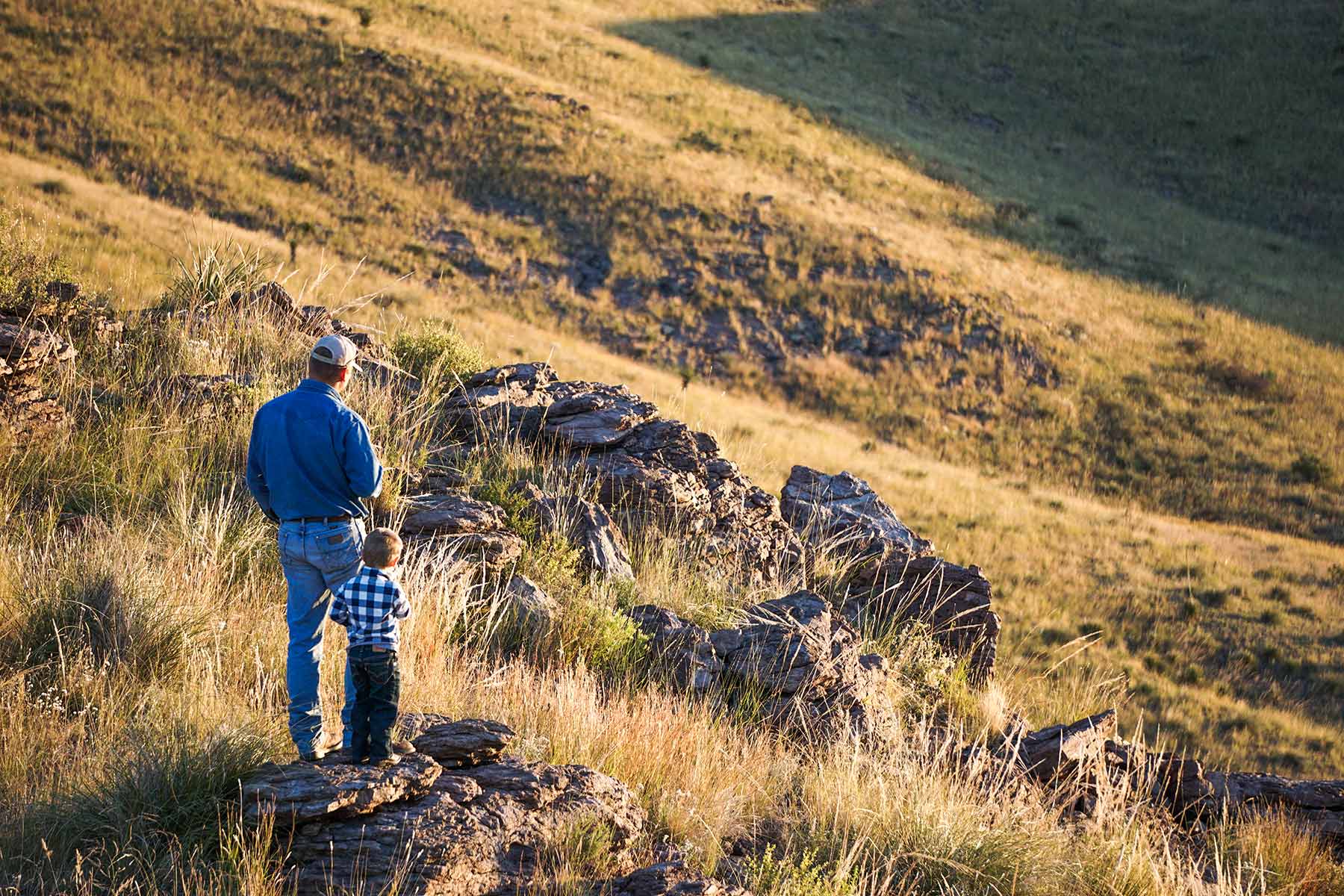 Livermore Ranch ~ Last of the Great Places - Sold - Texas - Hall and Hall