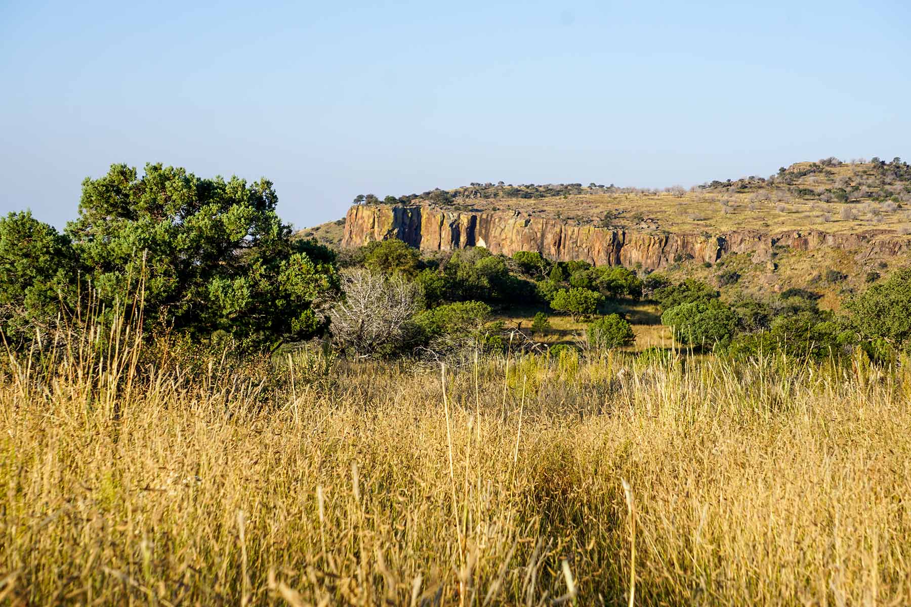 Livermore Ranch ~ Last of the Great Places - Sold - Texas - Hall and Hall