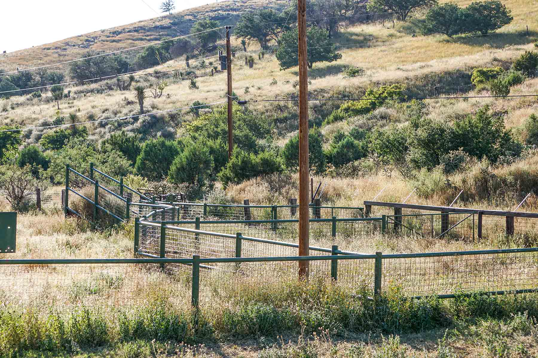 Livermore Ranch ~ Last of the Great Places - Sold - Texas - Hall and Hall